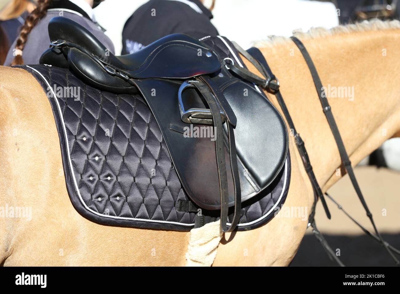 Saddles cup hi-res stock photography and images - Alamy