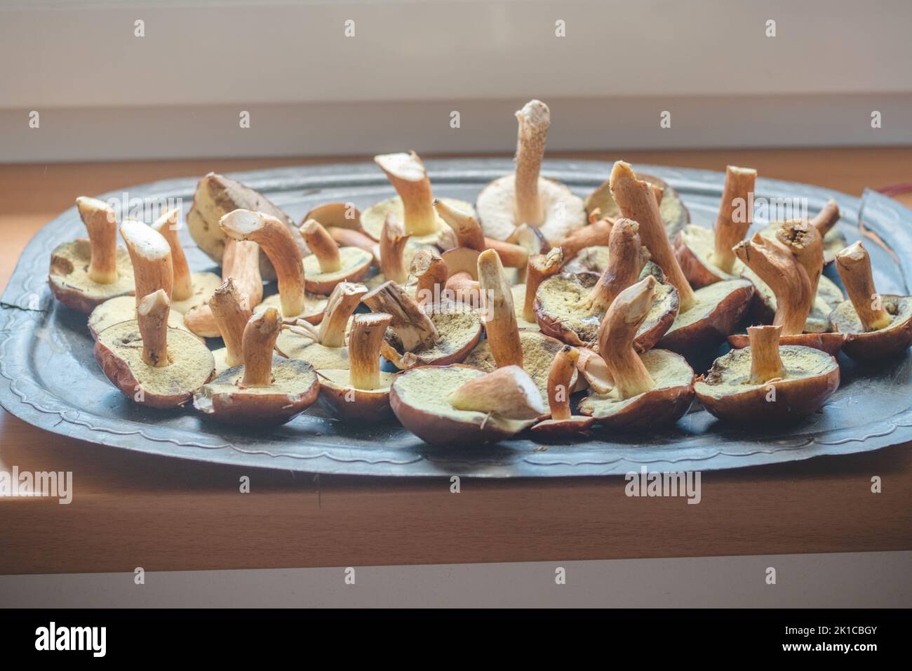 Plate full of freshly picked mushrooms in the woods and subsequent ...