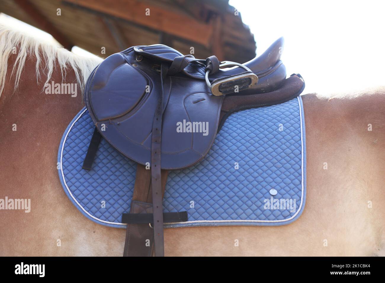 Close up of a sport horse saddle. Quality classical leather saddle ...