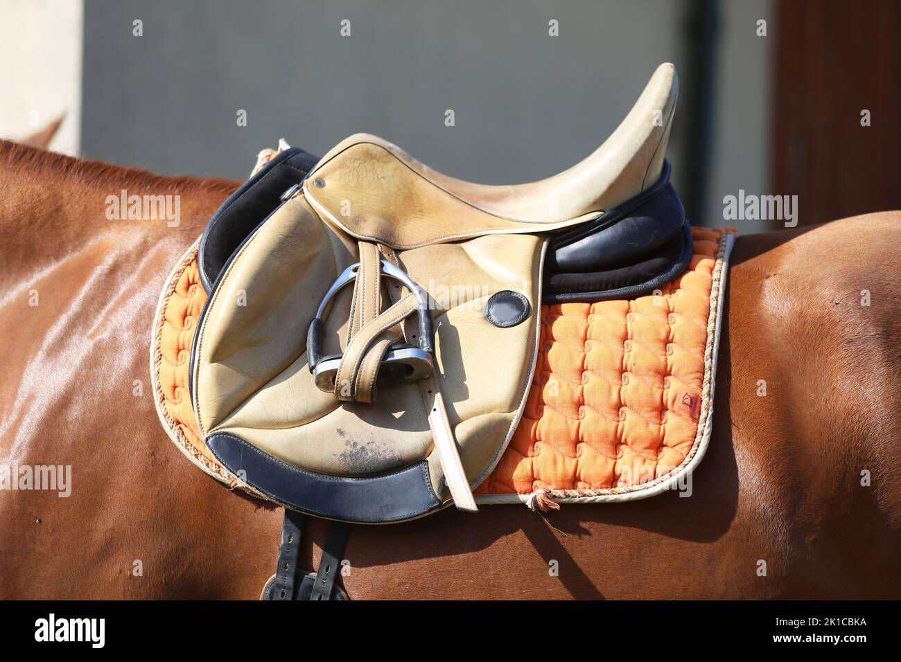 Close up of a sport horse saddle. Quality classical leather saddle ...