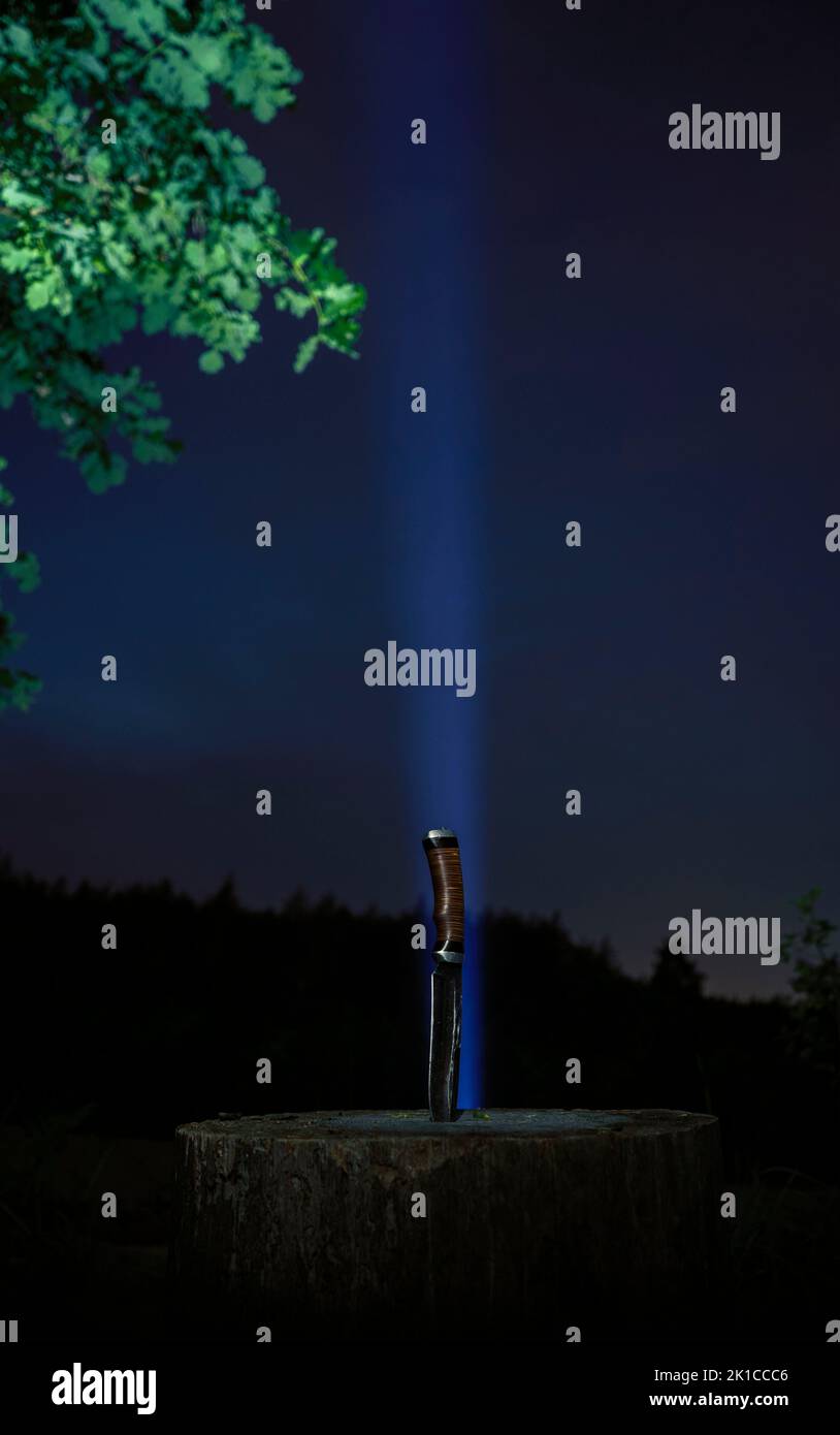 A vertical shot of a knife embedded in the tree trunk with a blue light ...