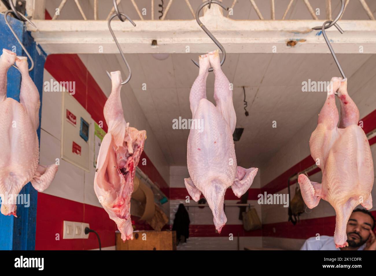 sale of chickens in a butcher shop, Essaouira, morocco, africa Stock ...