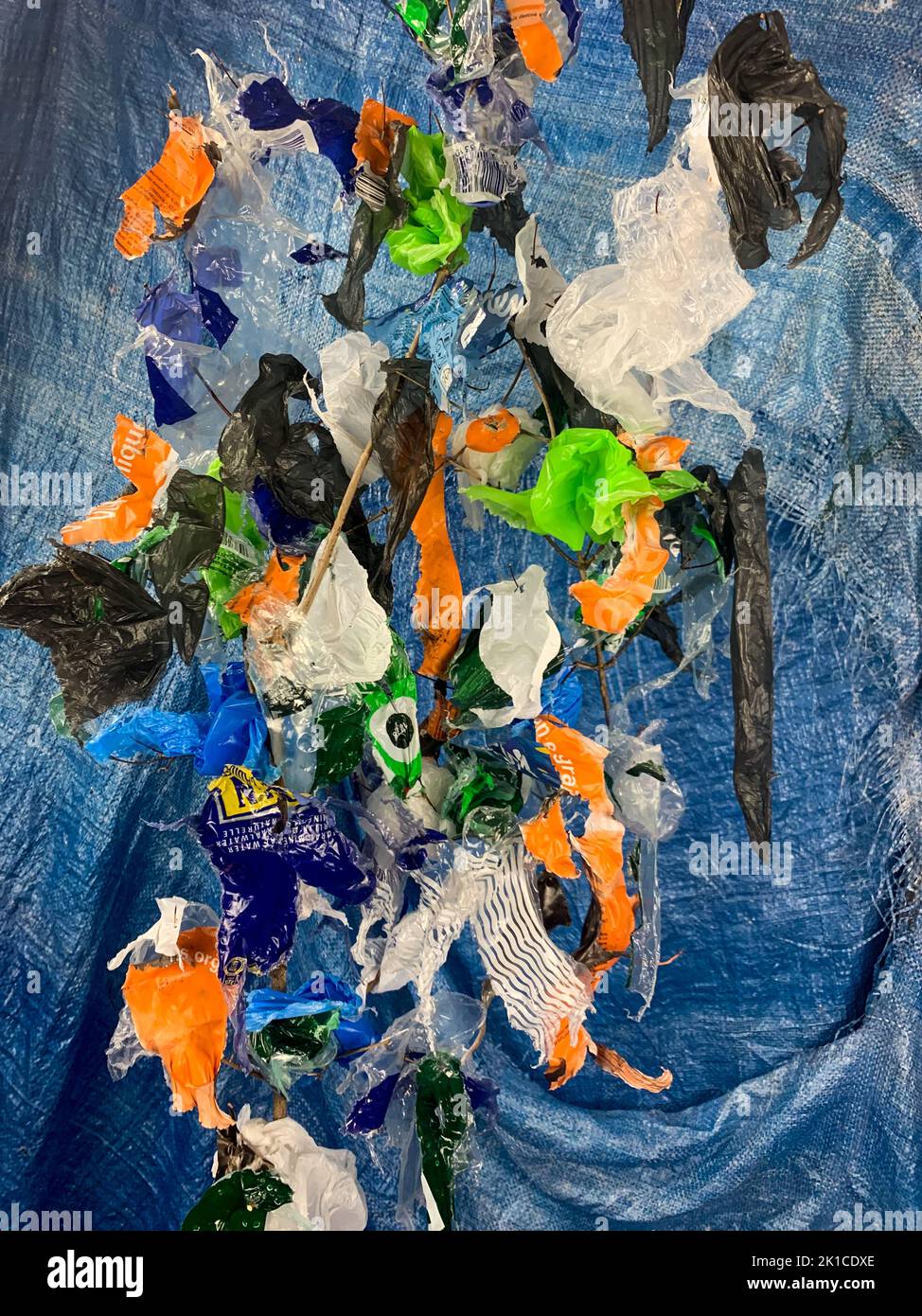 Plastic wrapped tree, conceptual studio photography, Lyon, France Stock ...