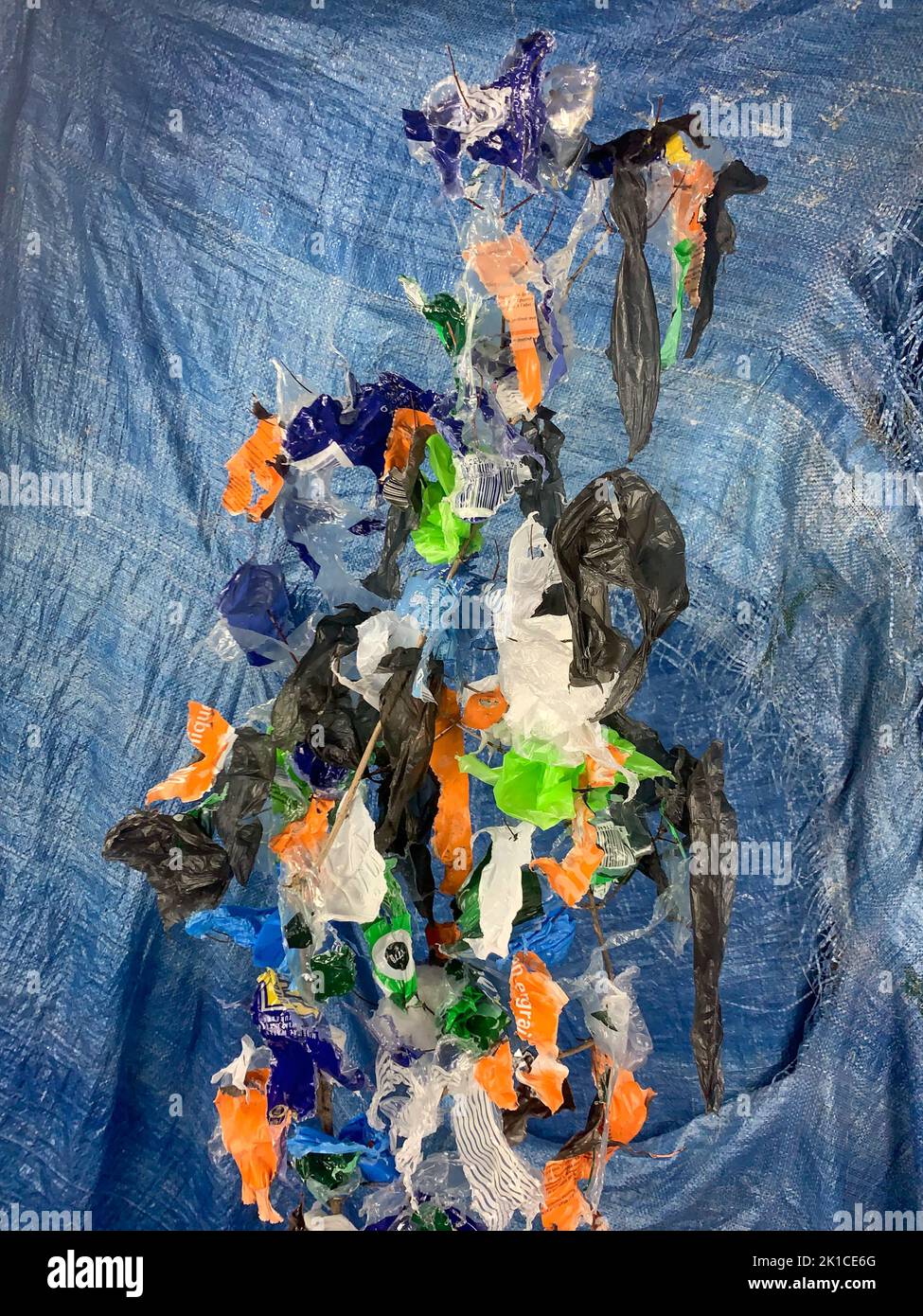 Plastic wrapped tree, conceptual studio photography, Lyon, France Stock ...