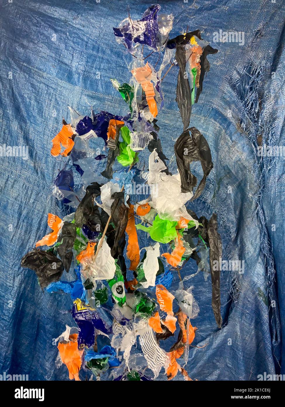 Plastic wrapped tree, conceptual studio photography, Lyon, France Stock ...