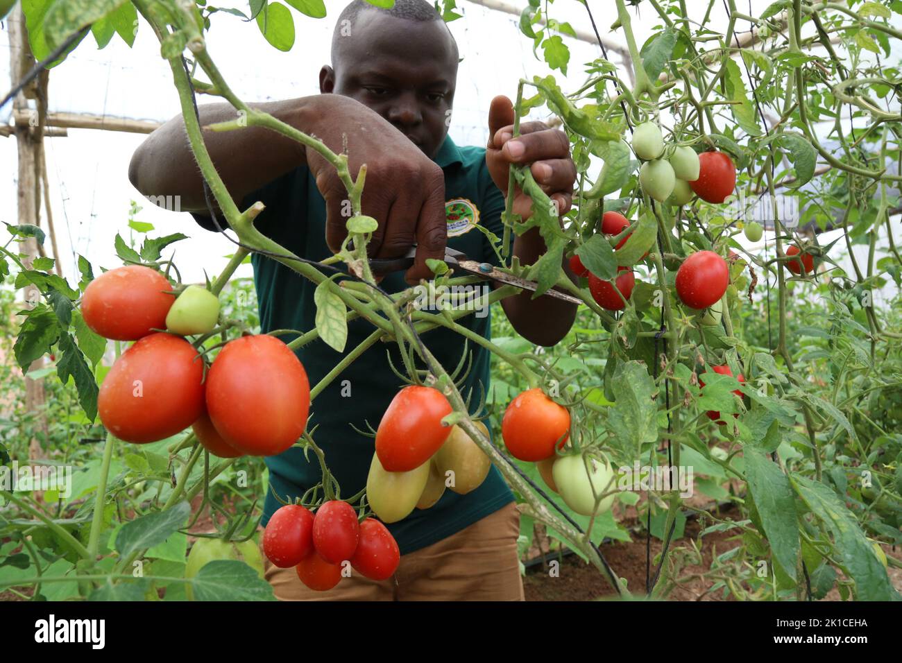 Dar Es Salaam, Tanzania. 16th Sep, 2022. George Reuben Sanga checks the ...