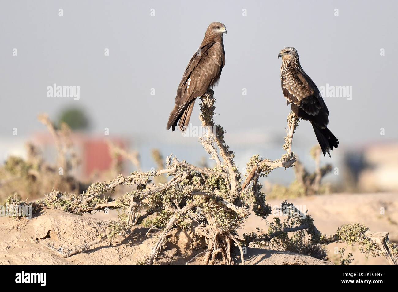 17 sep 2022 hi-res stock photography and images - Alamy