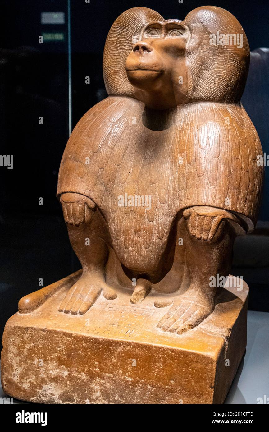 figure of a squatting baboon, red quartzite, 18th dynasty reigning ...