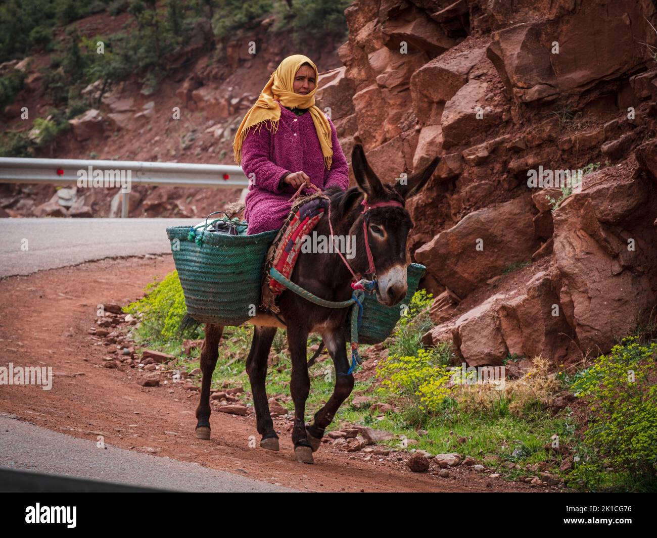 Berber woman riding a donkey, Ait Blal, azilal province, Atlas mountain ...