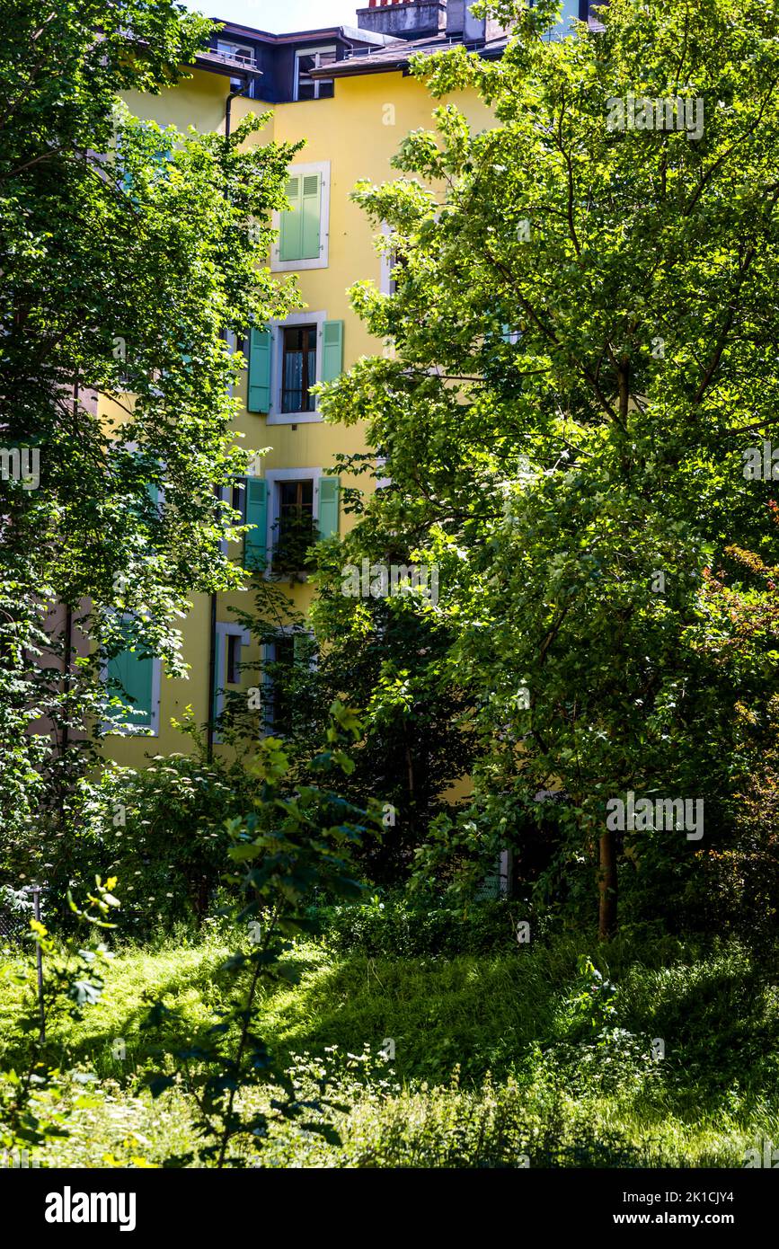 Block of flats with lots of greenery in the Les Délices district ...