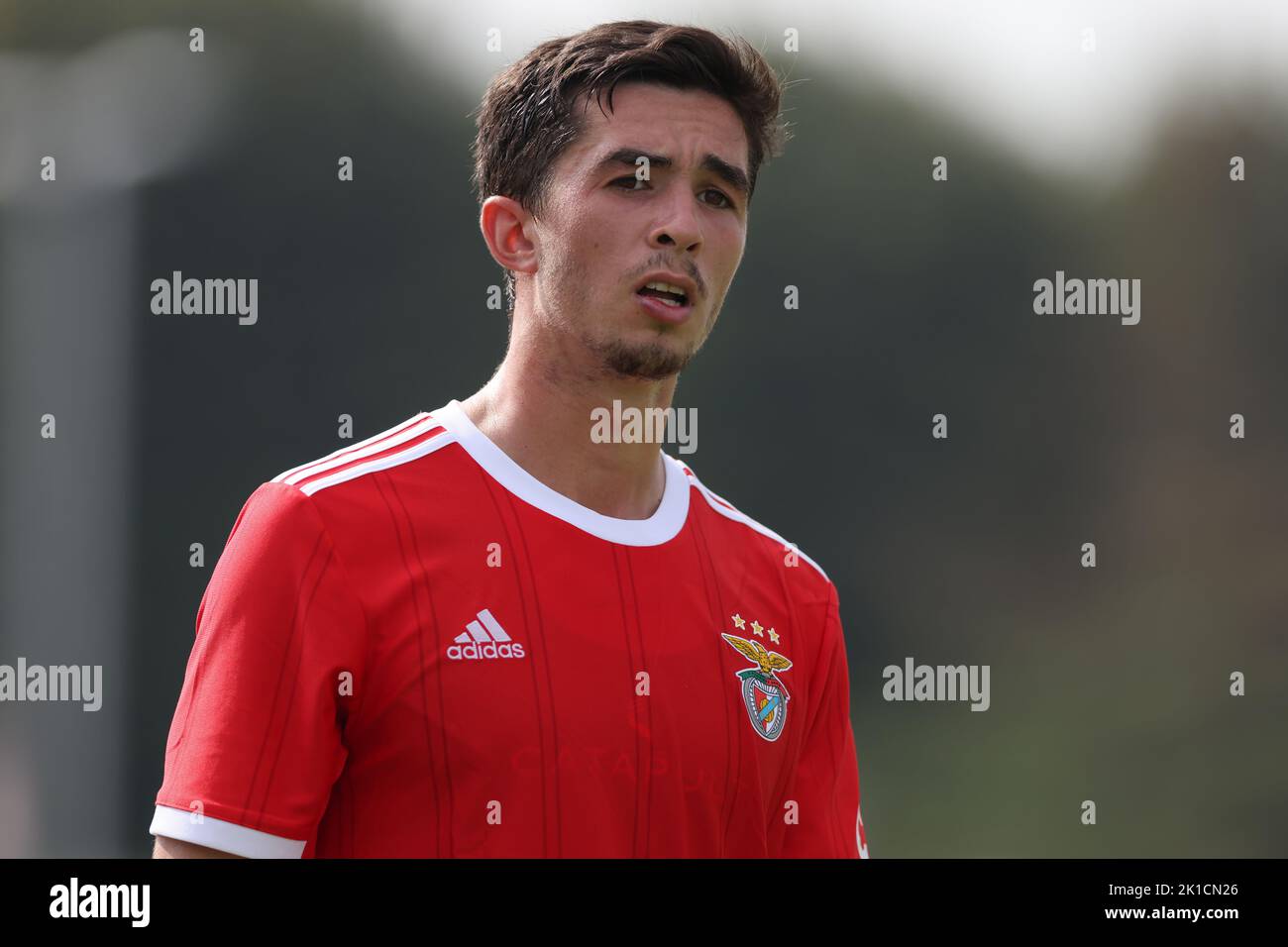 Jonathan guilherme hi-res stock photography and images - Alamy