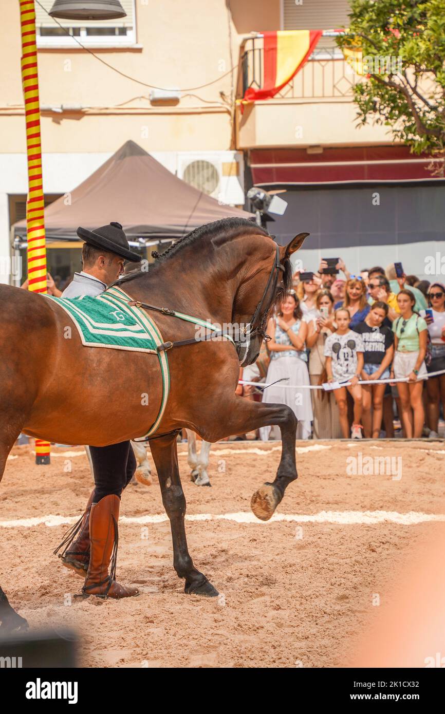 Caballo vaquera hi-res stock photography and images - Alamy