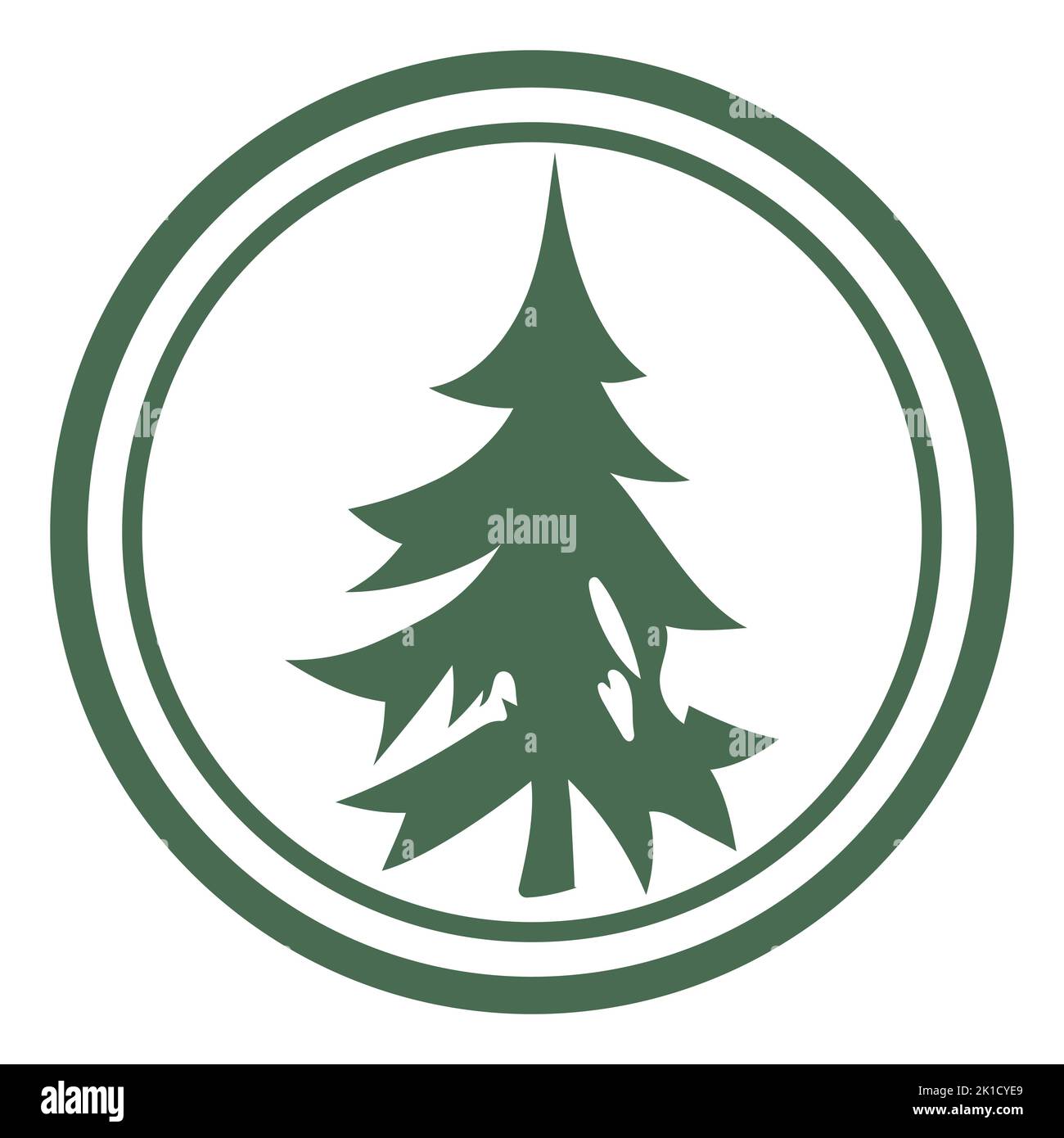 White spruce conifer garden plant Stock Vector Images - Alamy