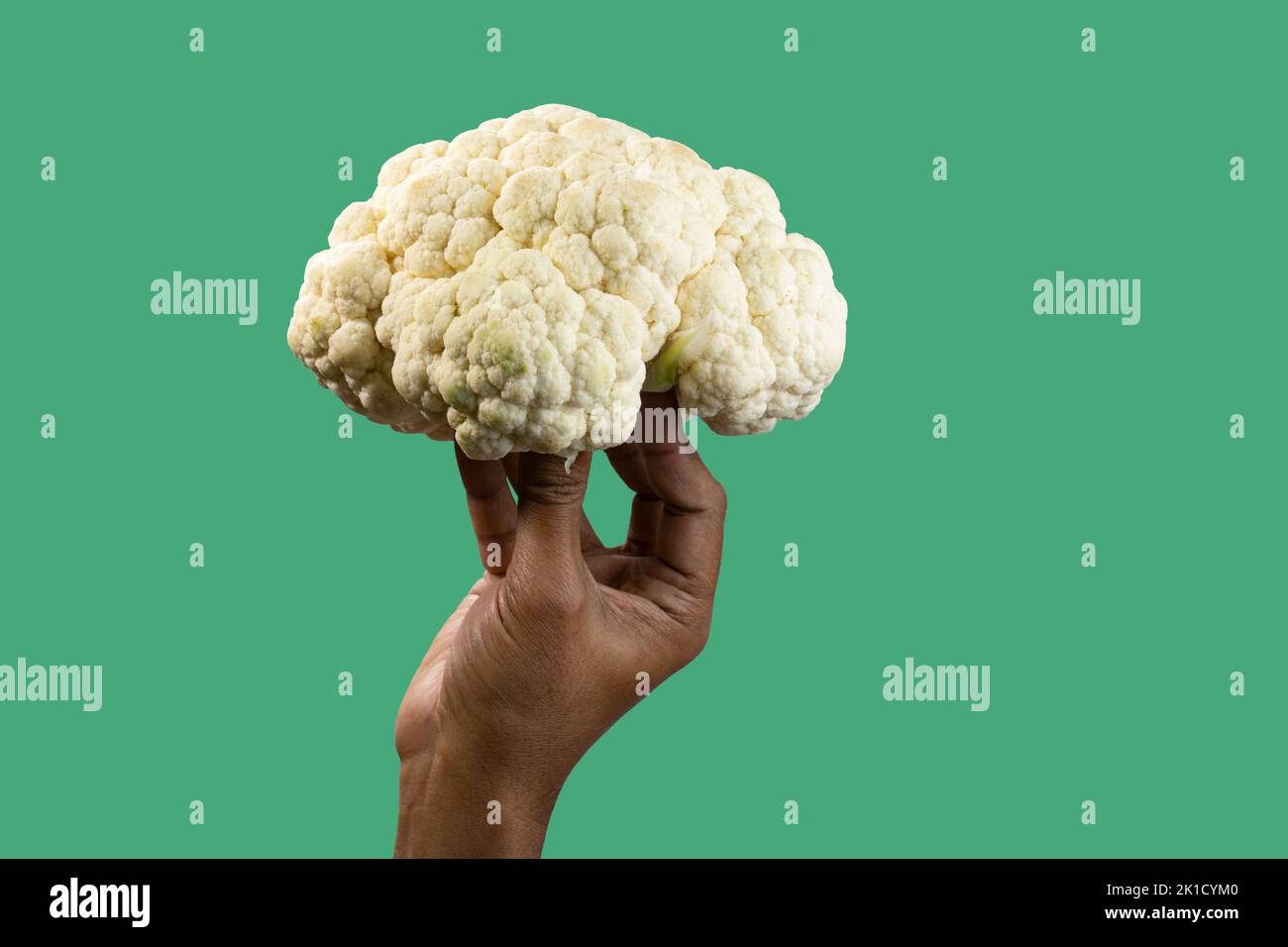 Holding cauliflower on green background. looks like a tree idea concept ...
