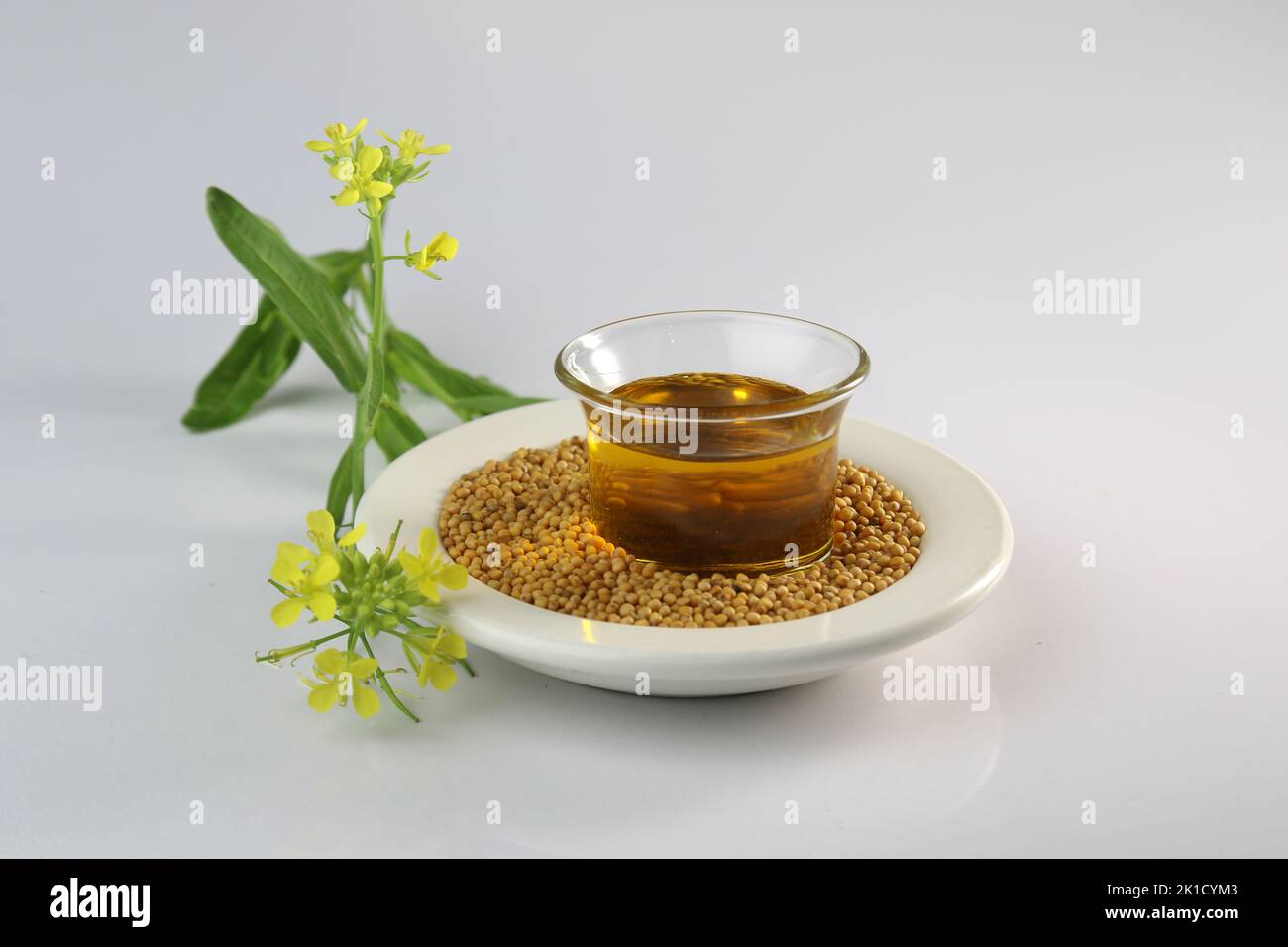 Studio shoot of mustard oil, seed and flower on dish on white ...