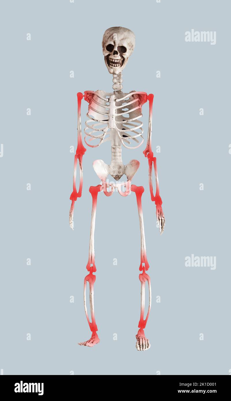 Joints and bones ache concept. Unhealthy bad skeleton on blue. High ...