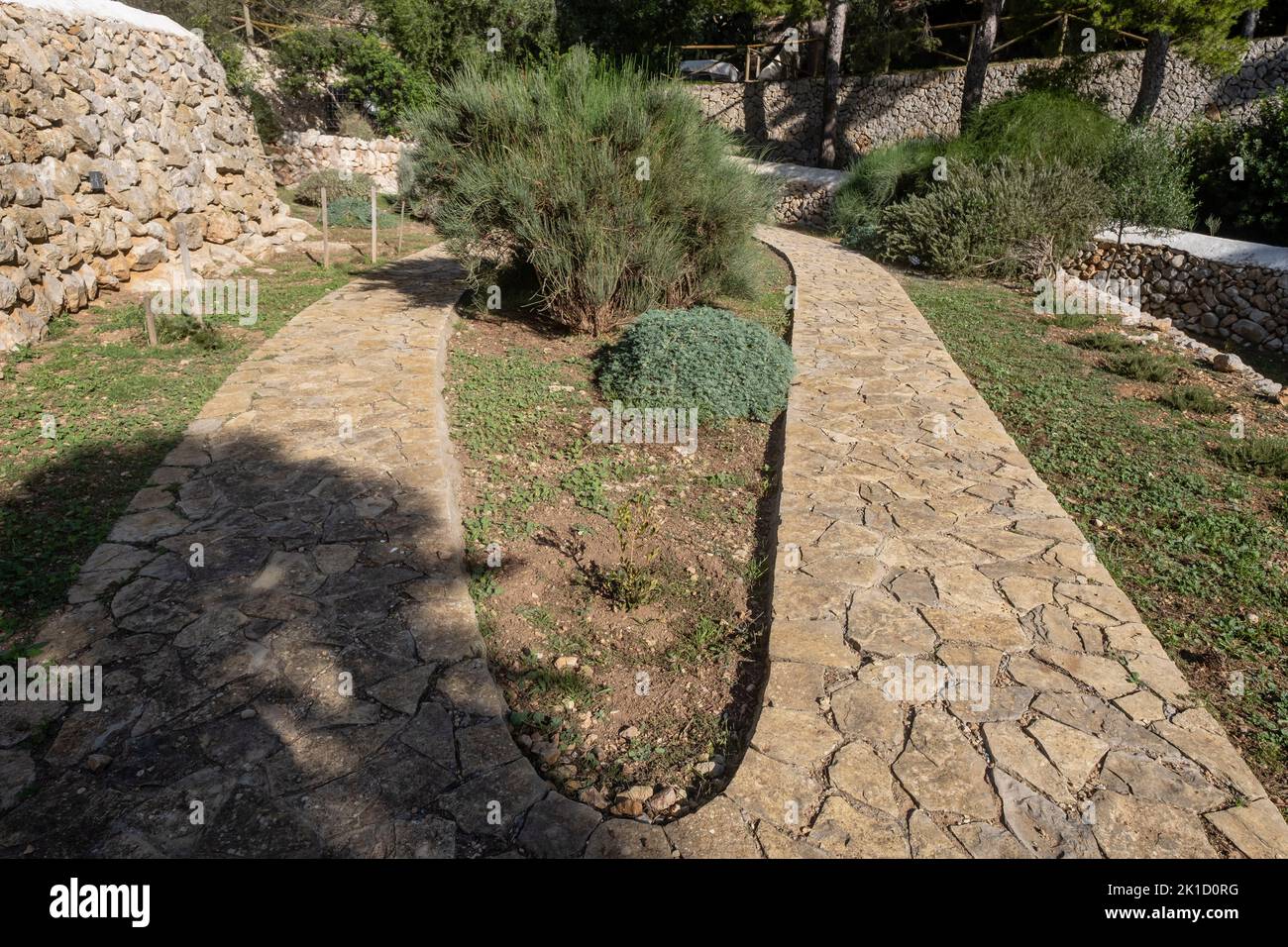 Mediterranean garden of native plants, Sa Dragonera natural park ...