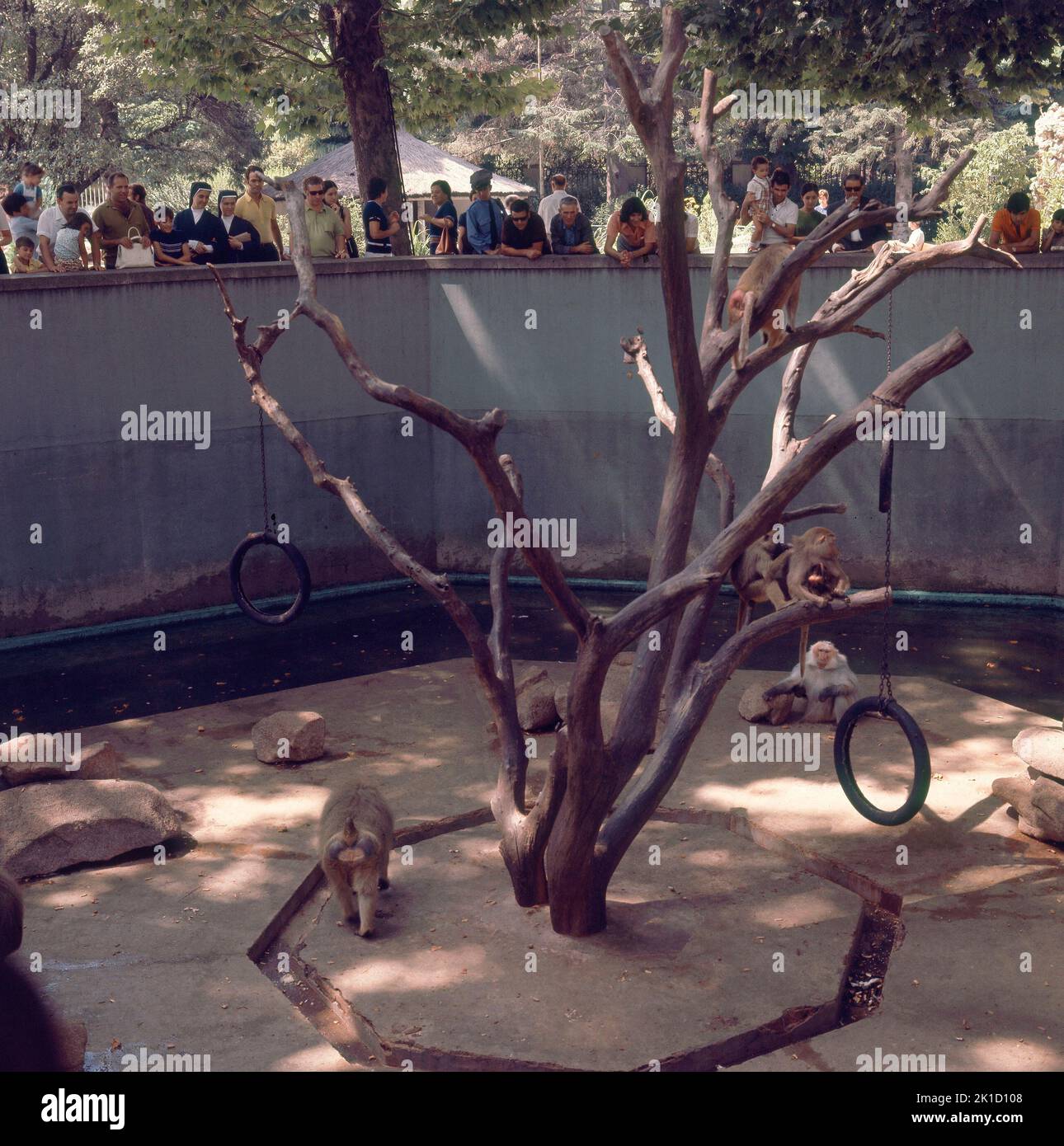 VISITANTES DE EL ANTIGUO ZOO DE EL RETIRO - AÑOS 60 - MIRANDO EL FOSO ...