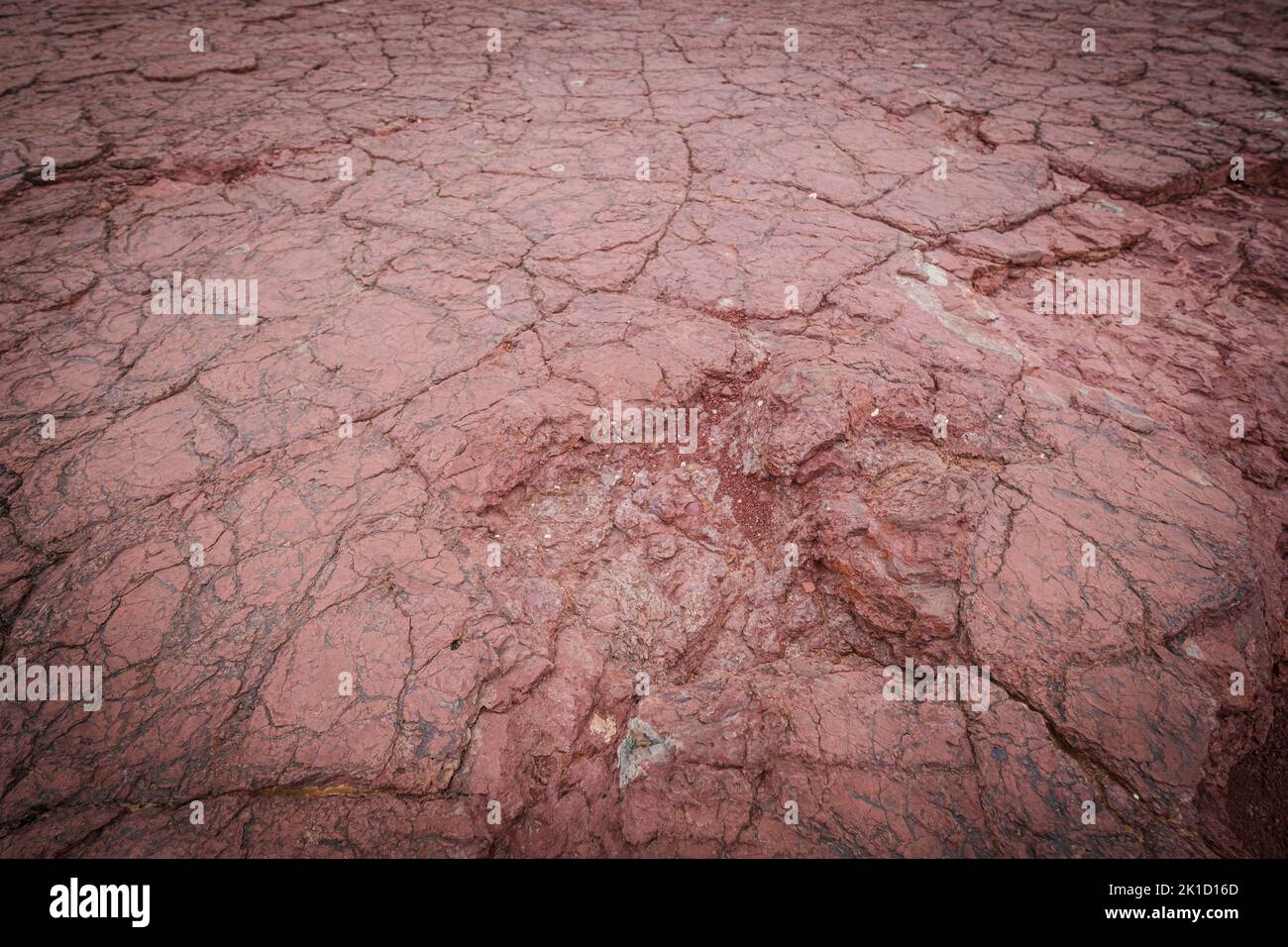 dinosaur footprints, middle to upper jurassic, geo park Iouaridene ...