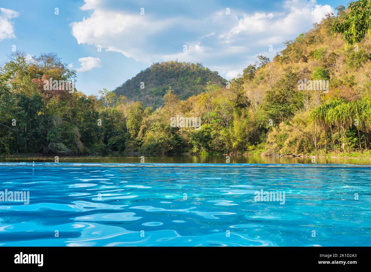 View of swimming pool by the tropical rainforest on sunny day at the ...
