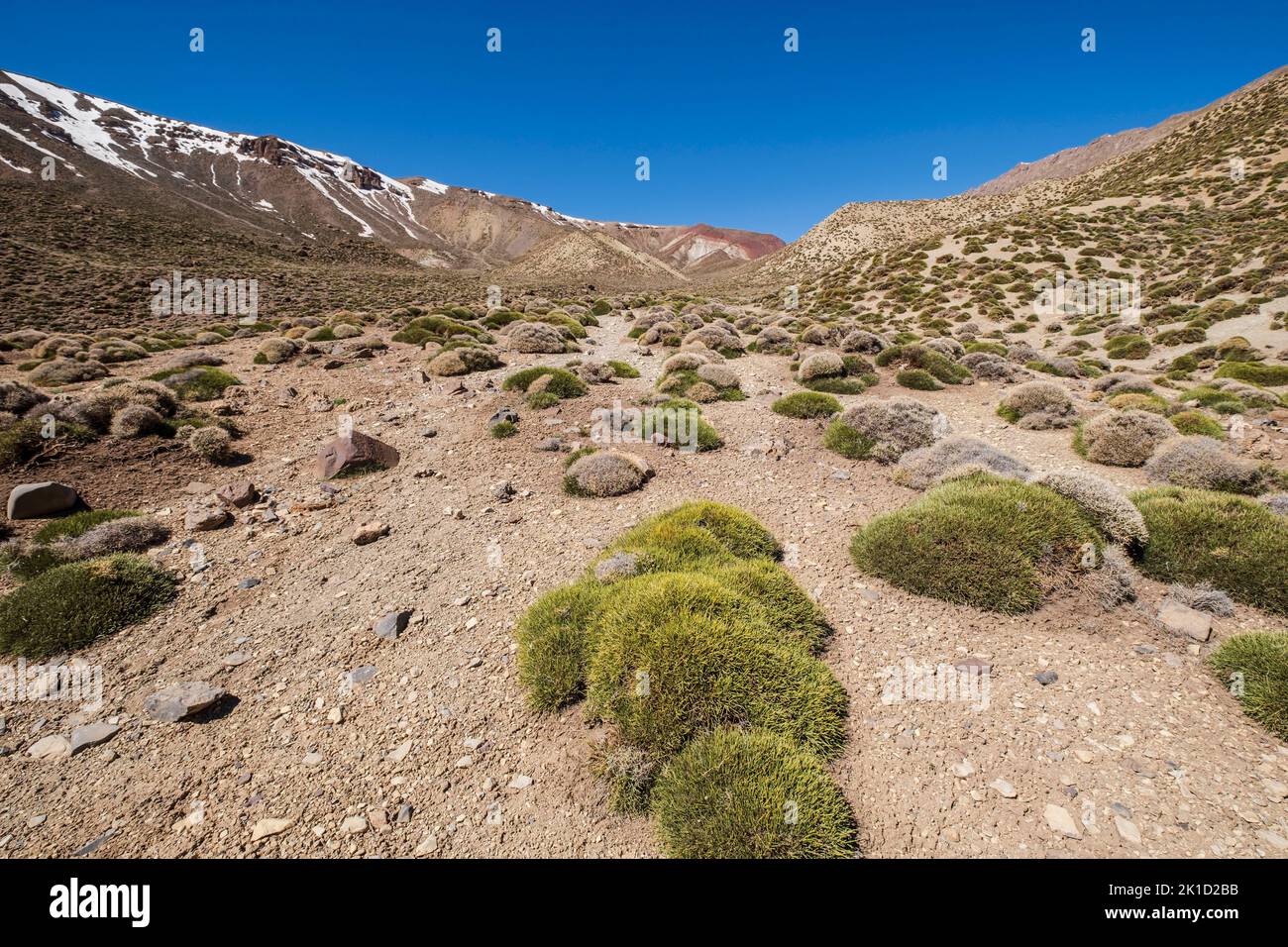 Plateau de Tarkeddit descent towards the Arous gorge, MGoun trek, Atlas ...