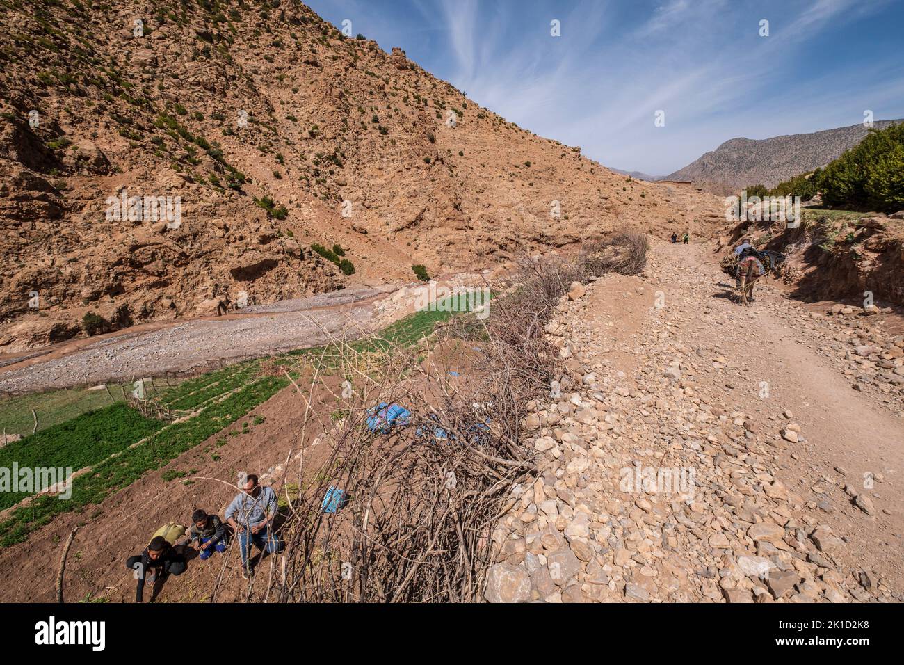 Arous hi-res stock photography and images - Alamy