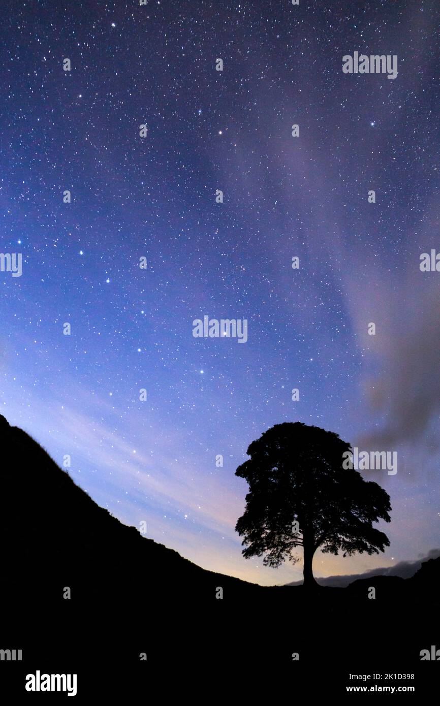 Sycamore Gap on Hadrian's Wall in Northumberland, North East England ...