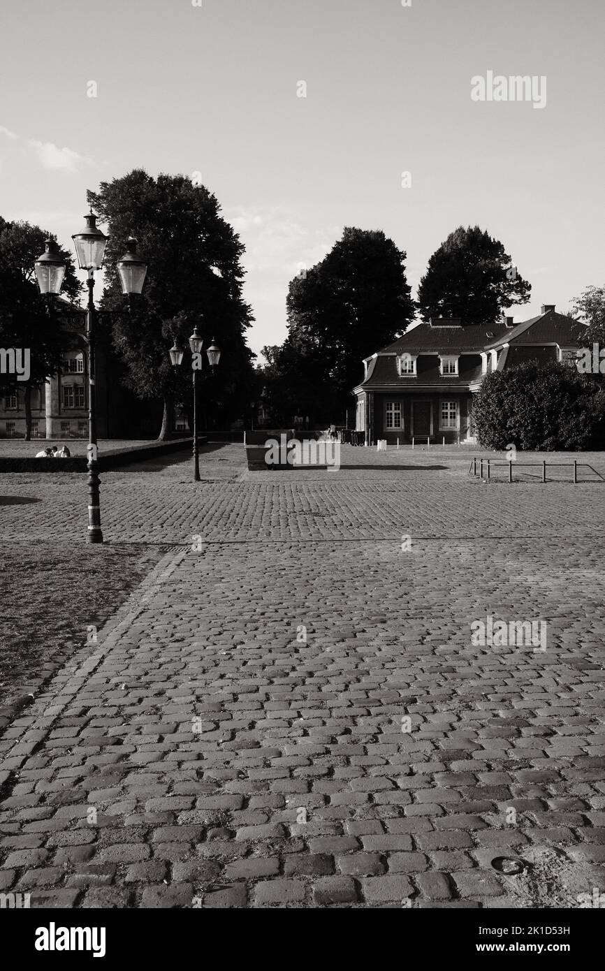 A vertical grayscale of a residential district street Stock Photo - Alamy