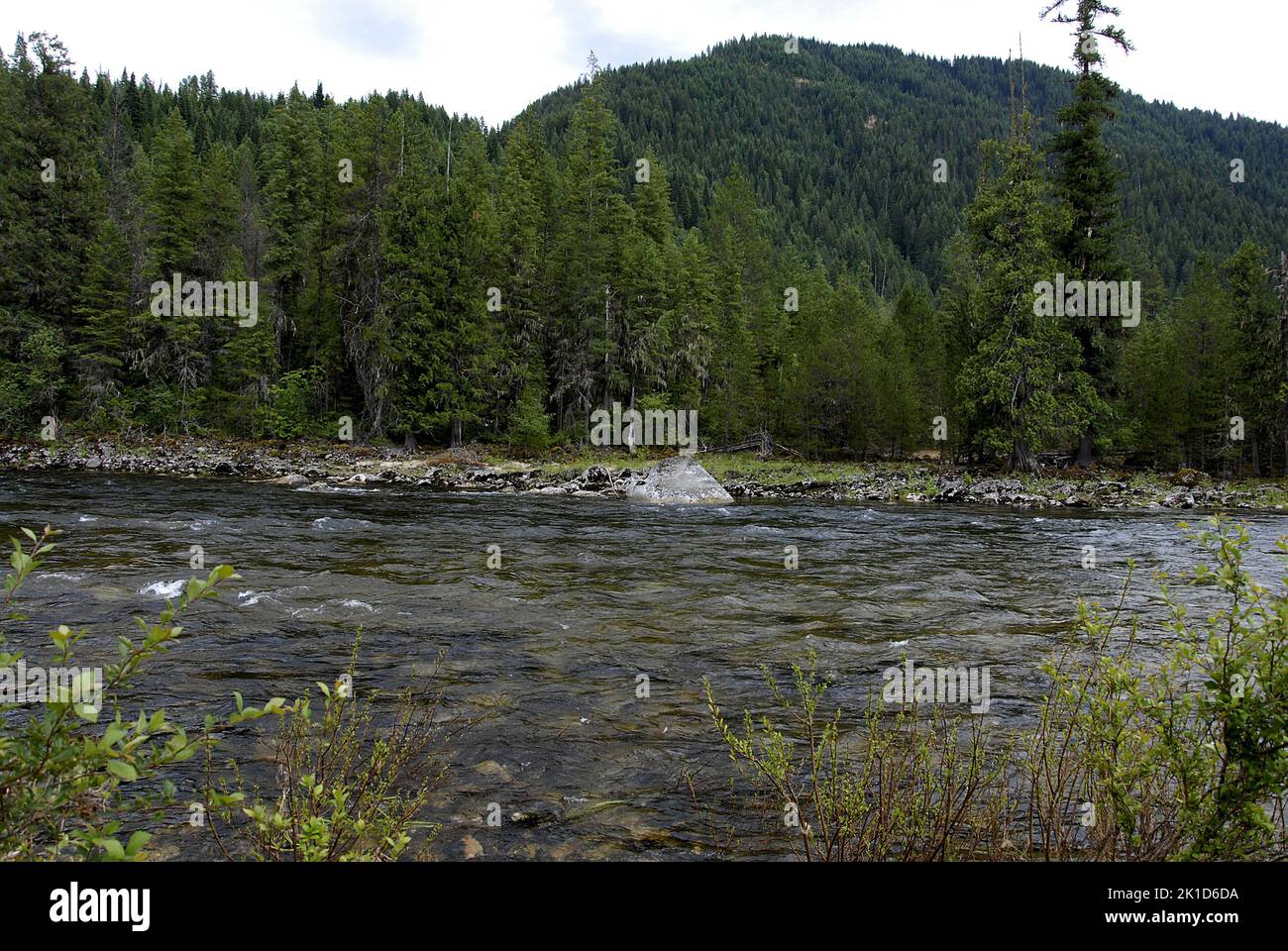 Bank of lochsa river hi-res stock photography and images - Alamy