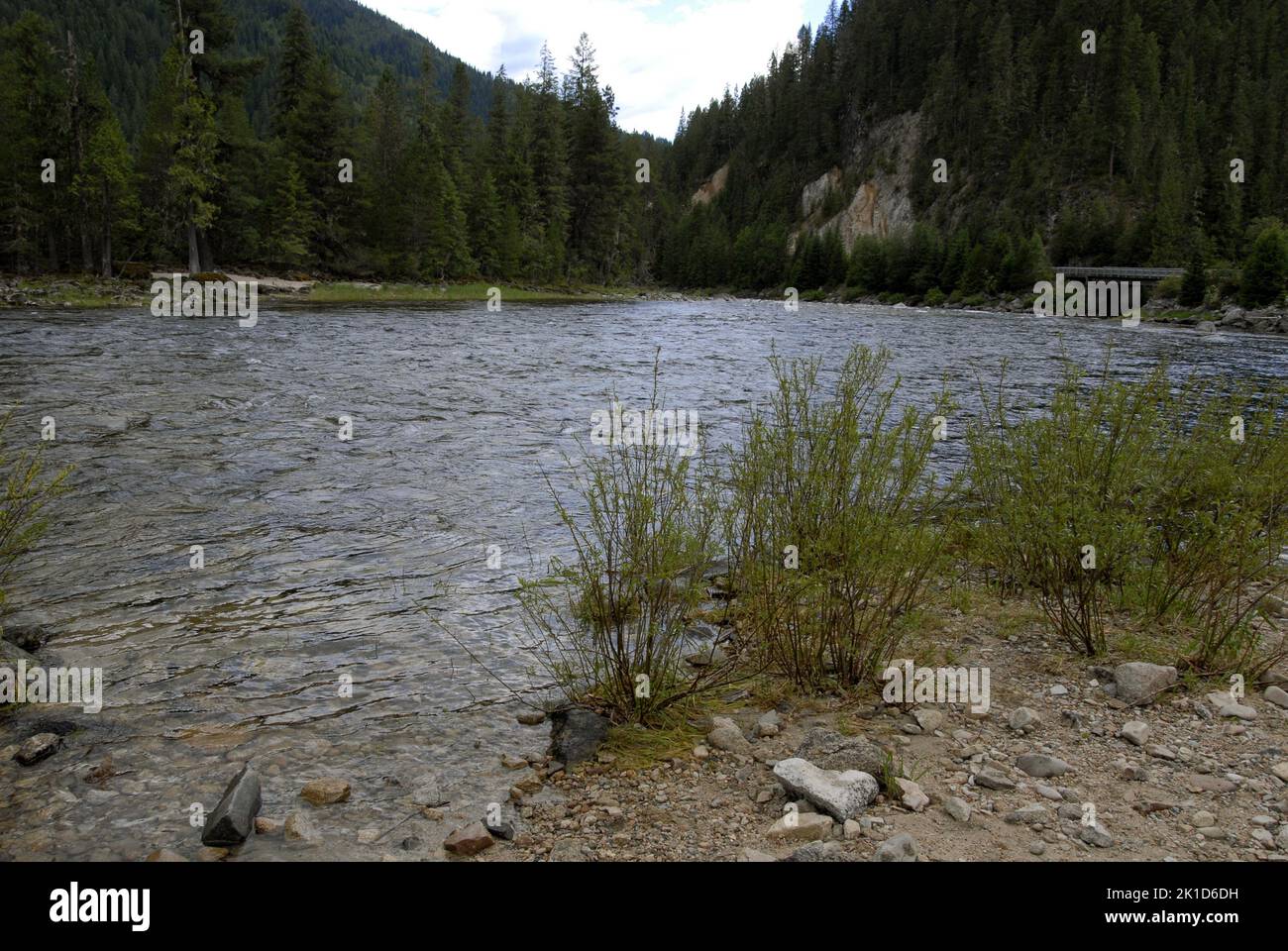 Bank of lochsa river hi-res stock photography and images - Alamy