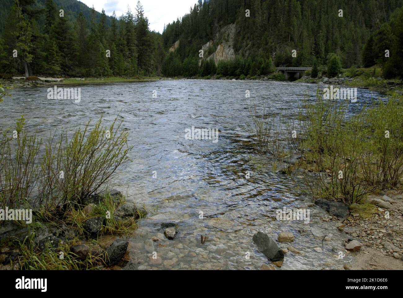 Bank of lochsa river hi-res stock photography and images - Alamy