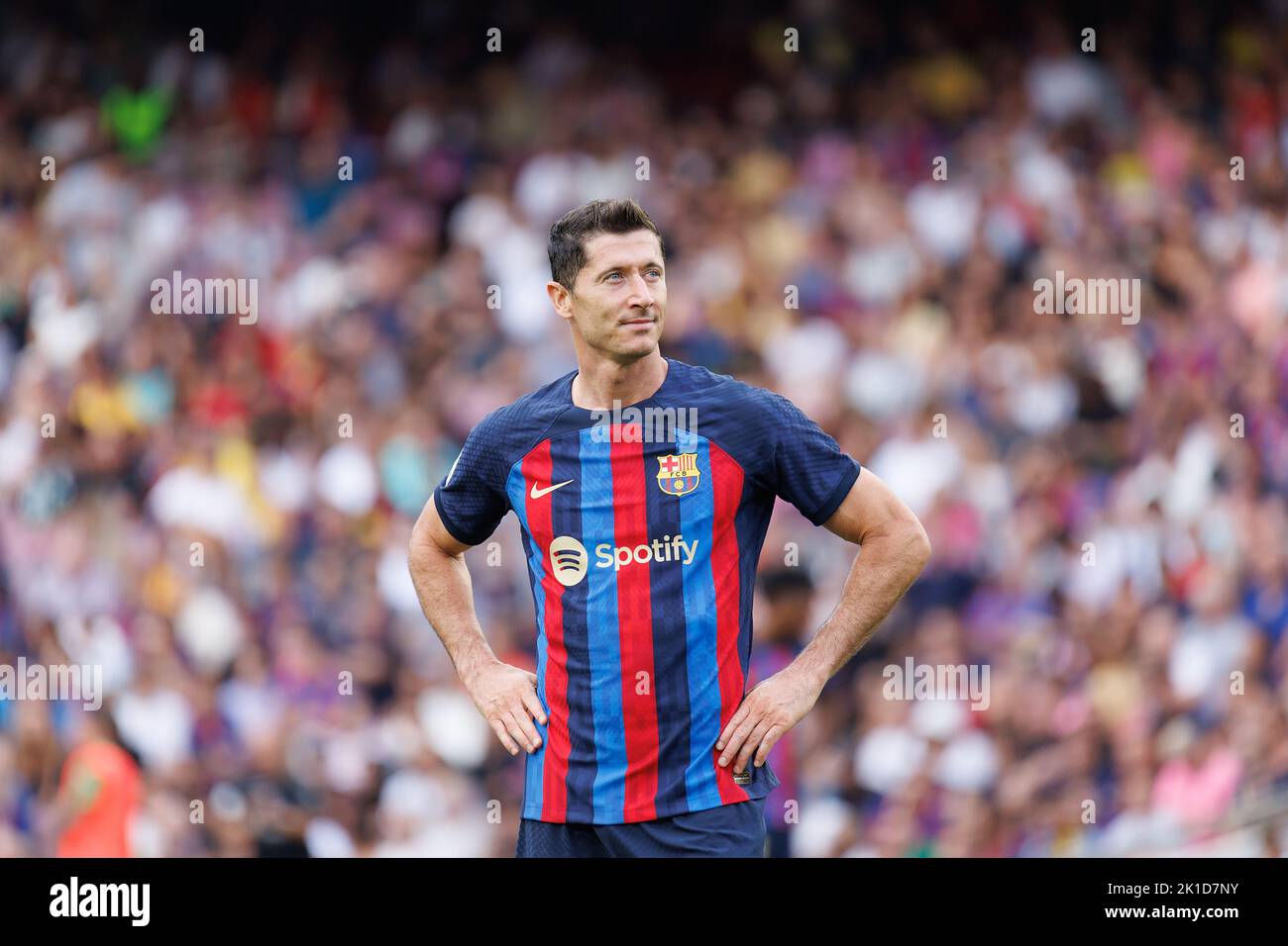 Lewandowski goal 2022 hi-res stock photography and images - Alamy