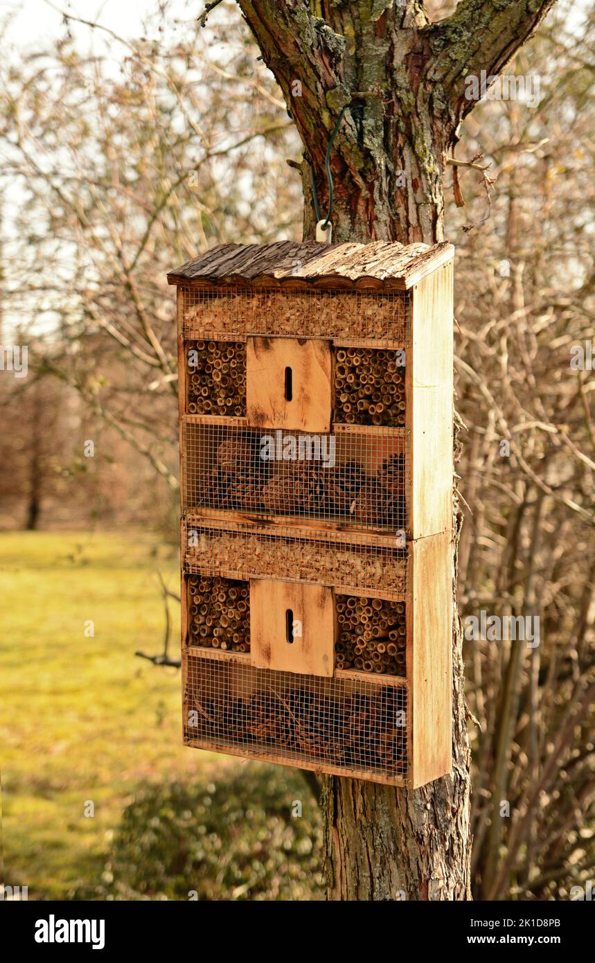 How to build a bug house hi-res stock photography and images - Alamy