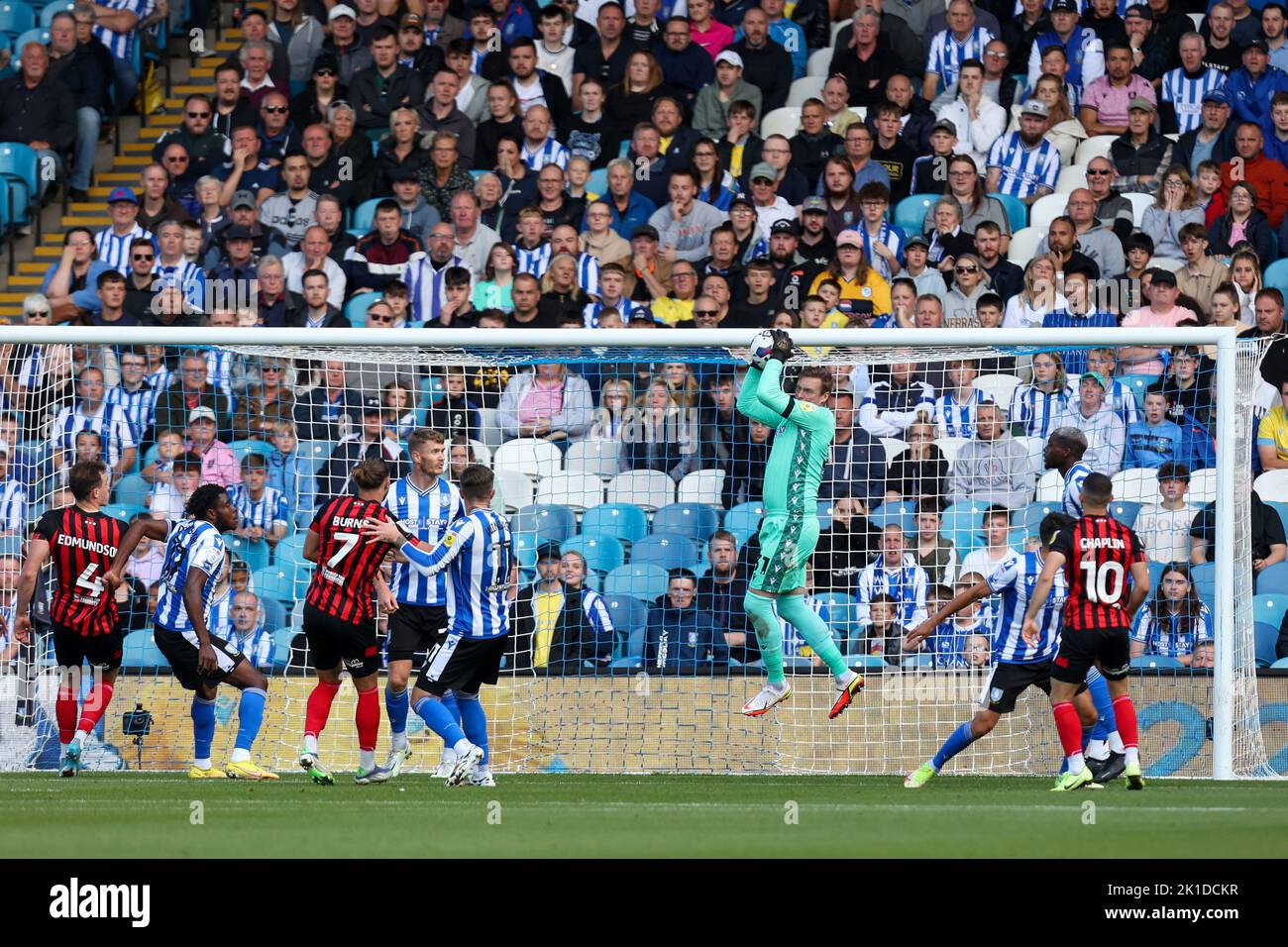 David Stockdale #31 of Sheffield Wednesday catches the ball during the ...