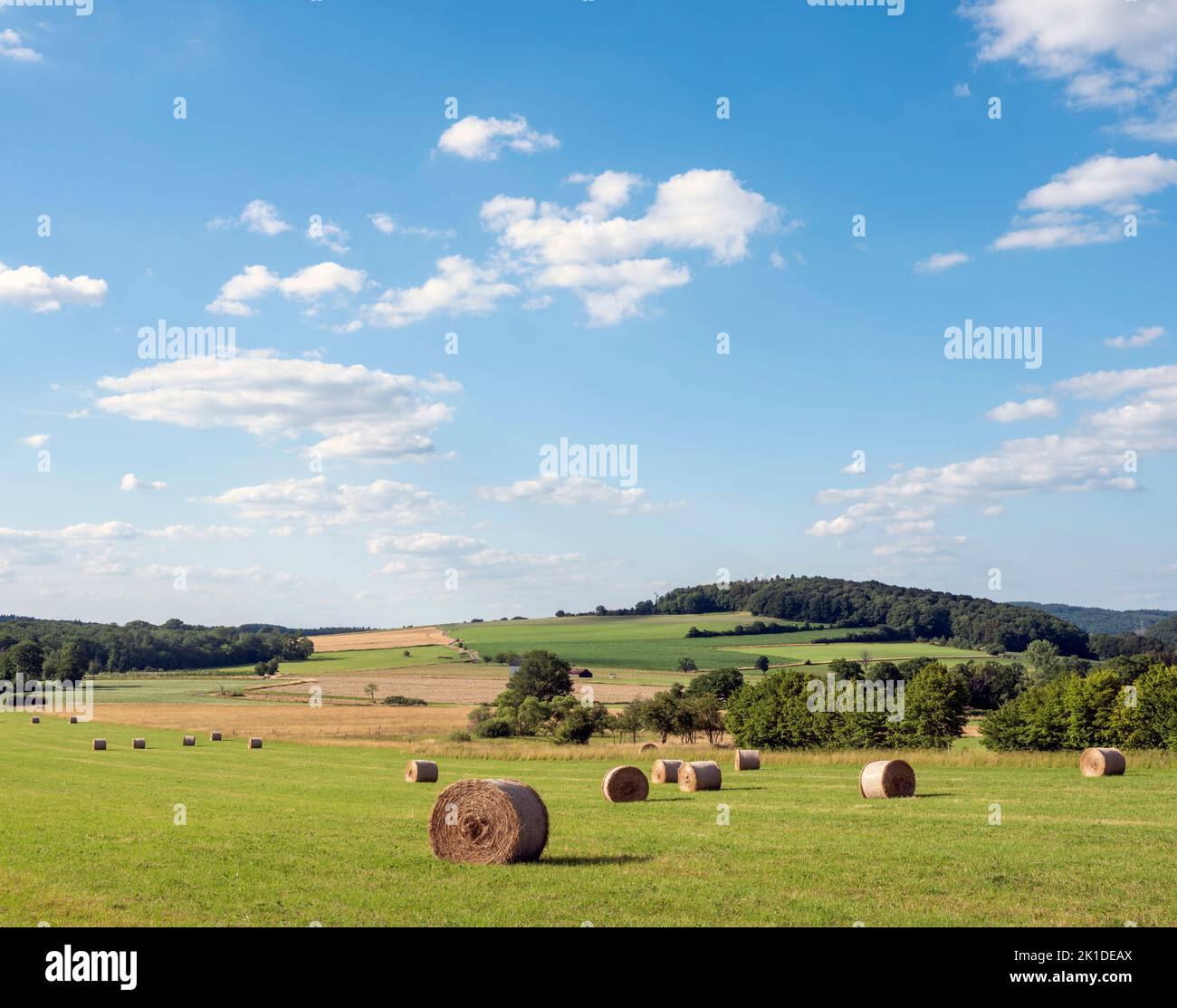 countryside landscape of belgian ardennes region near han sur lesse and ...