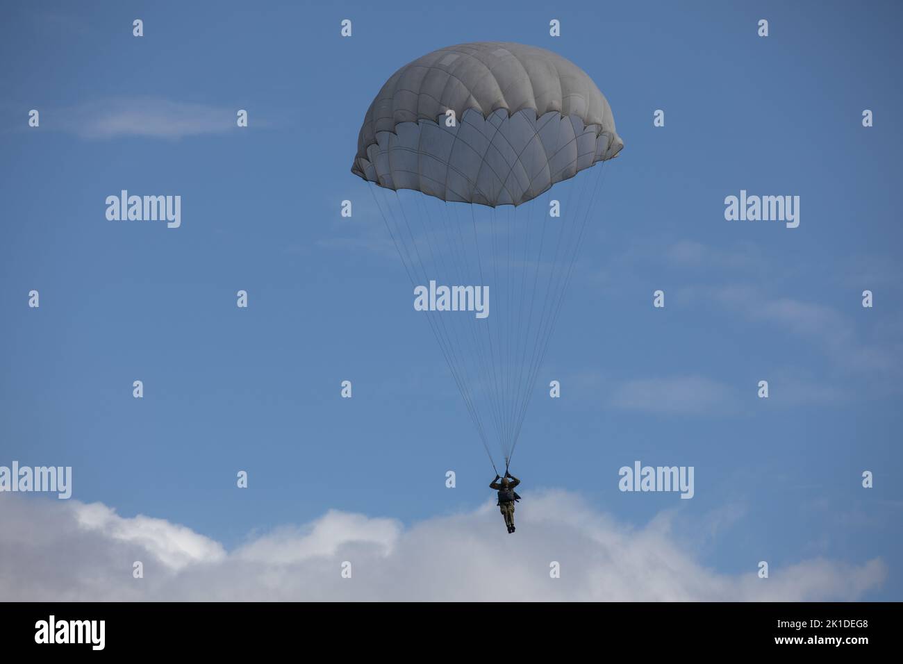 A group of U.S. Army and European Paratroopers descends onto the Drop ...