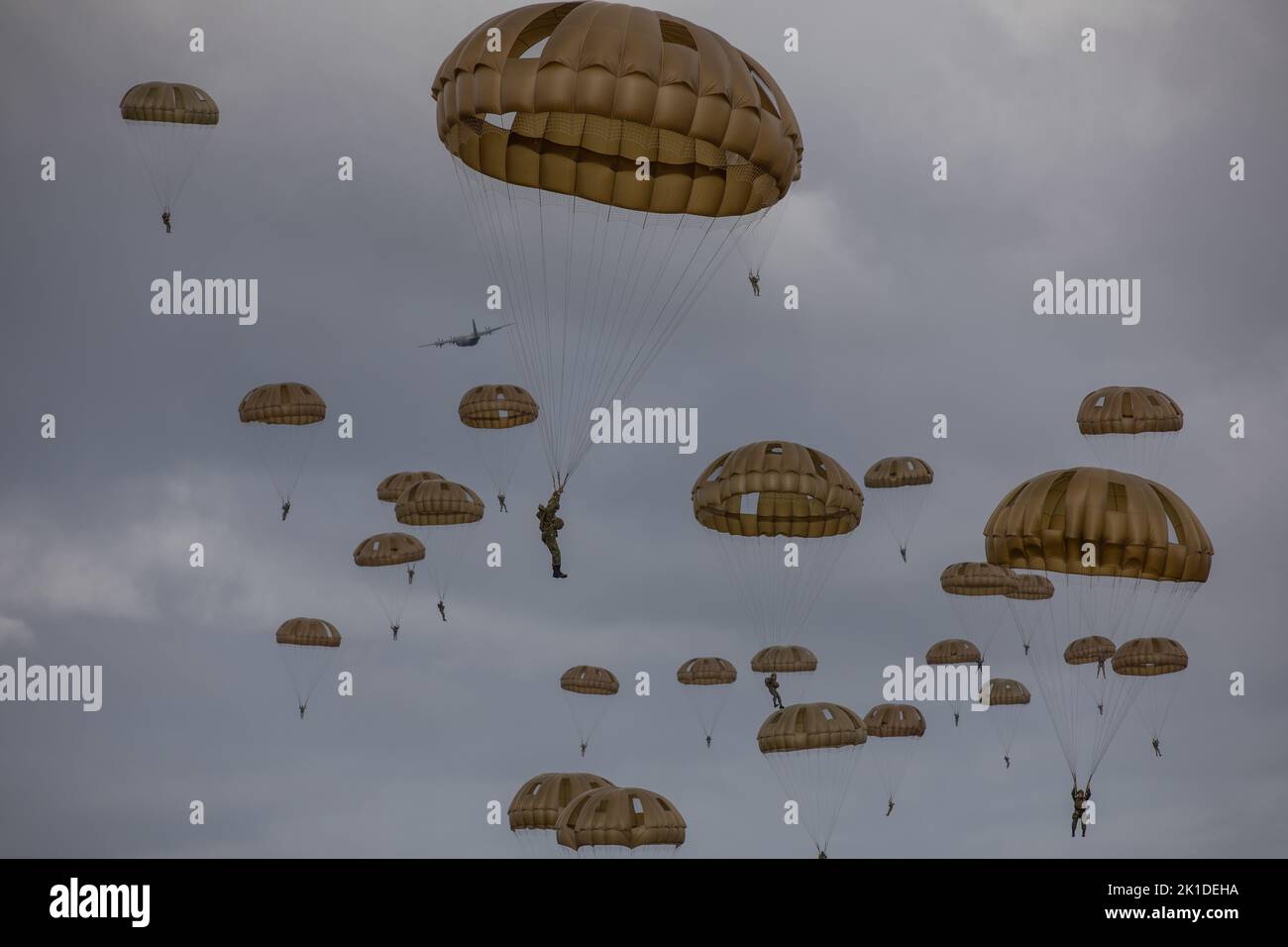 Falcon leap hi-res stock photography and images - Alamy