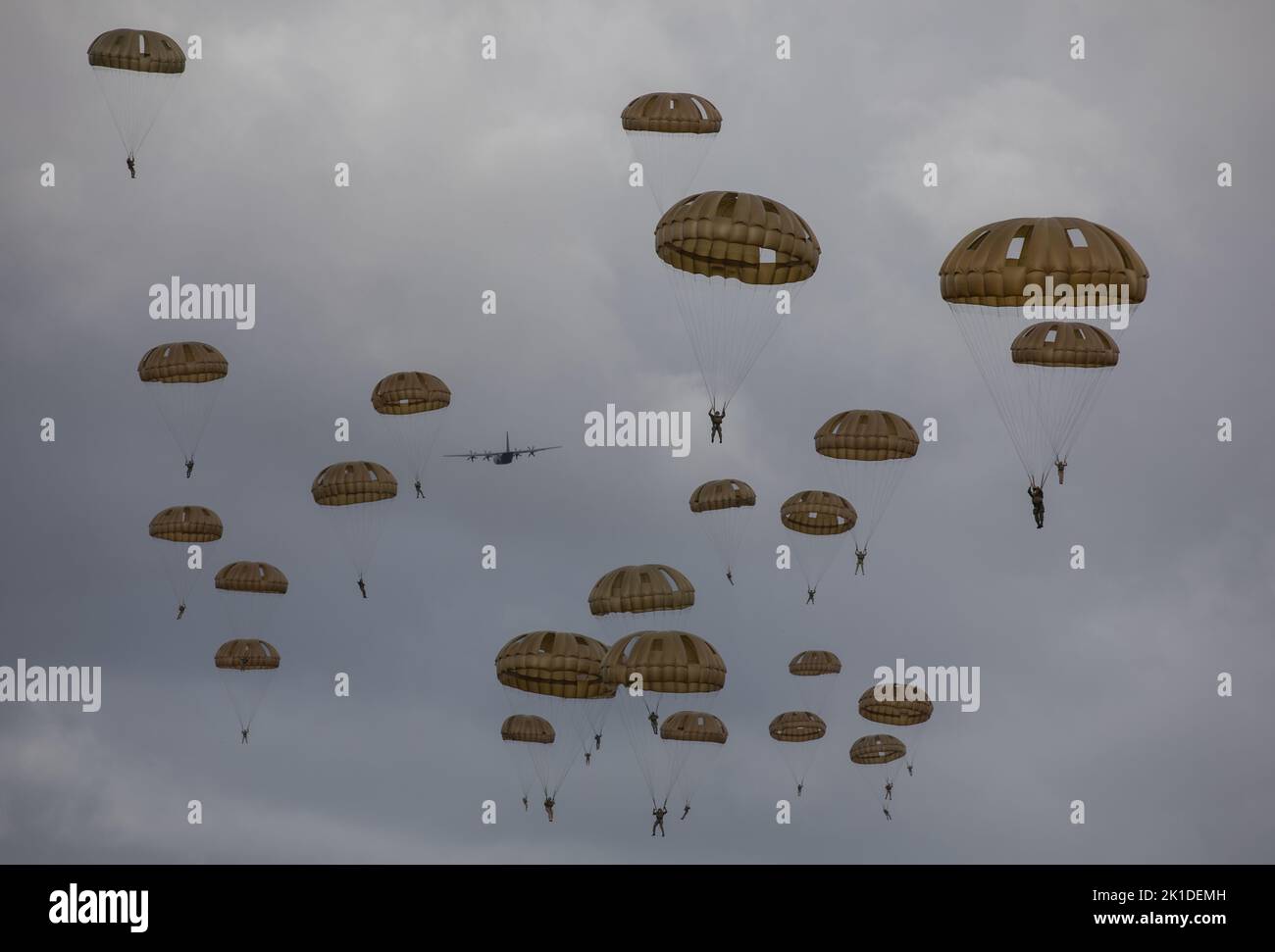 A group of U.S. Army and European Paratroopers descends onto the Drop ...