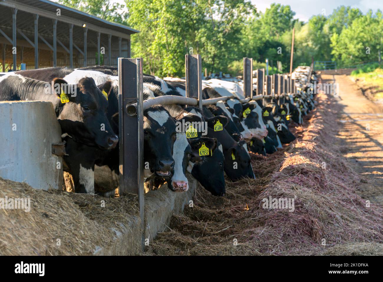 Donnan farm hi-res stock photography and images - Alamy