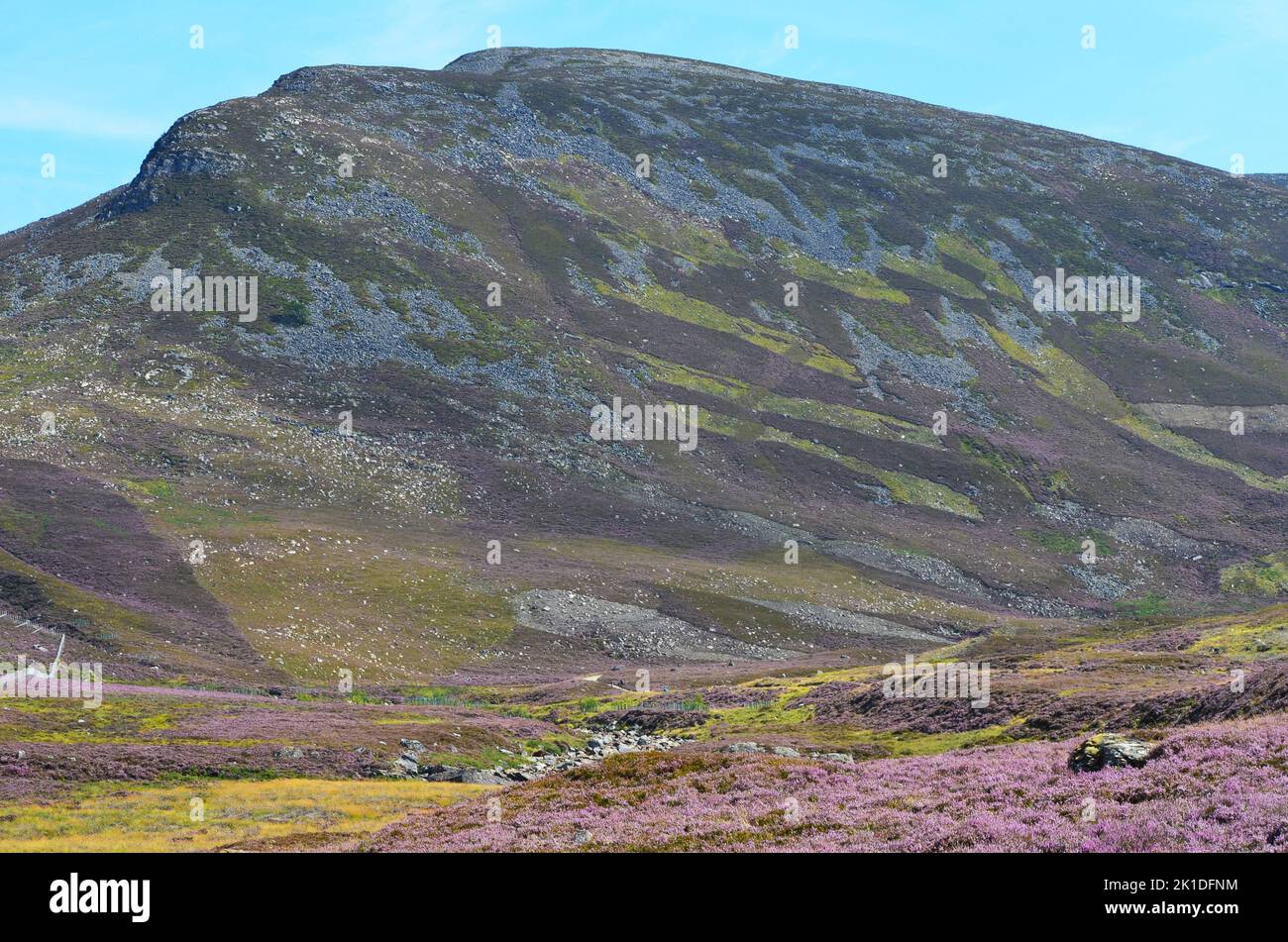 Glen Callater, a Site of Special Scientific Interest within The ...