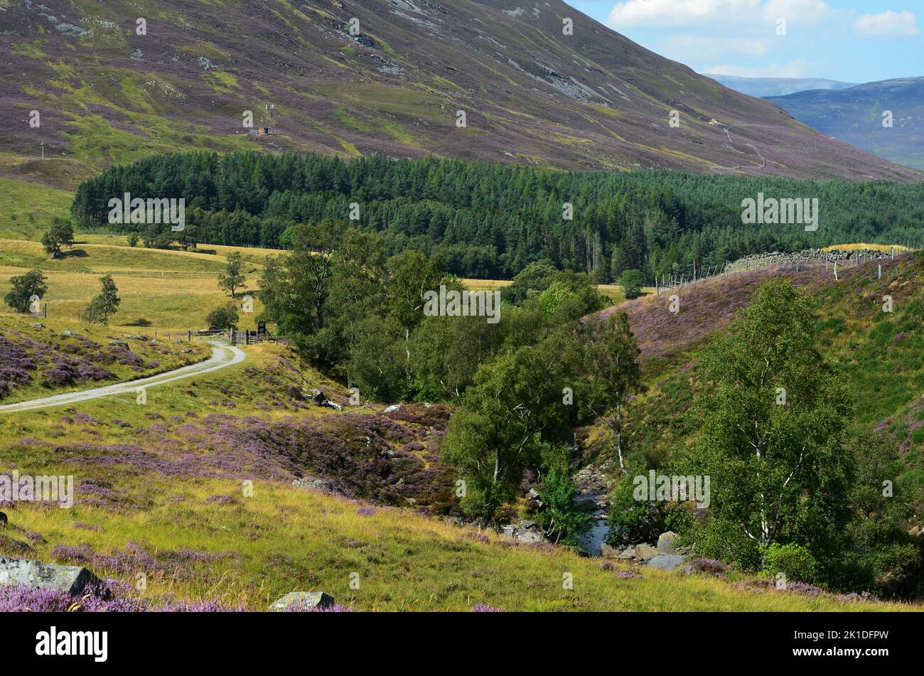 Glen Callater, a Site of Special Scientific Interest within The ...