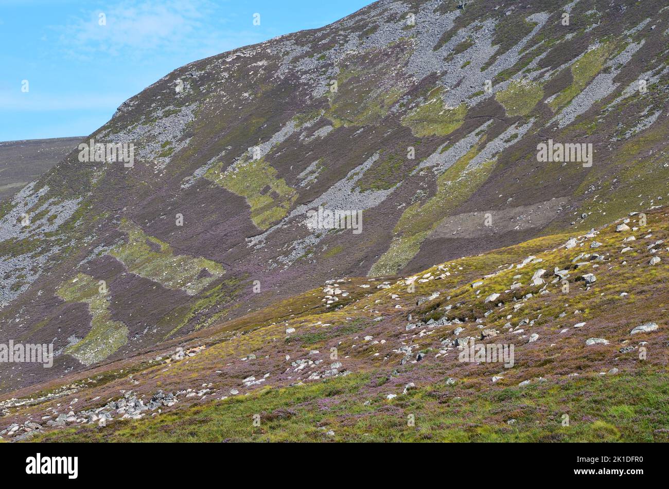 Montane heath communities hi-res stock photography and images - Alamy