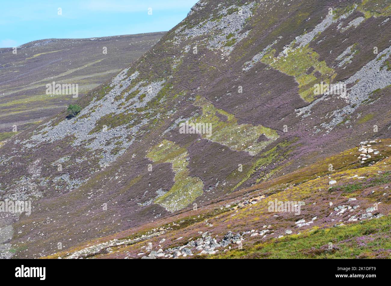 Glen Callater, a Site of Special Scientific Interest within The ...