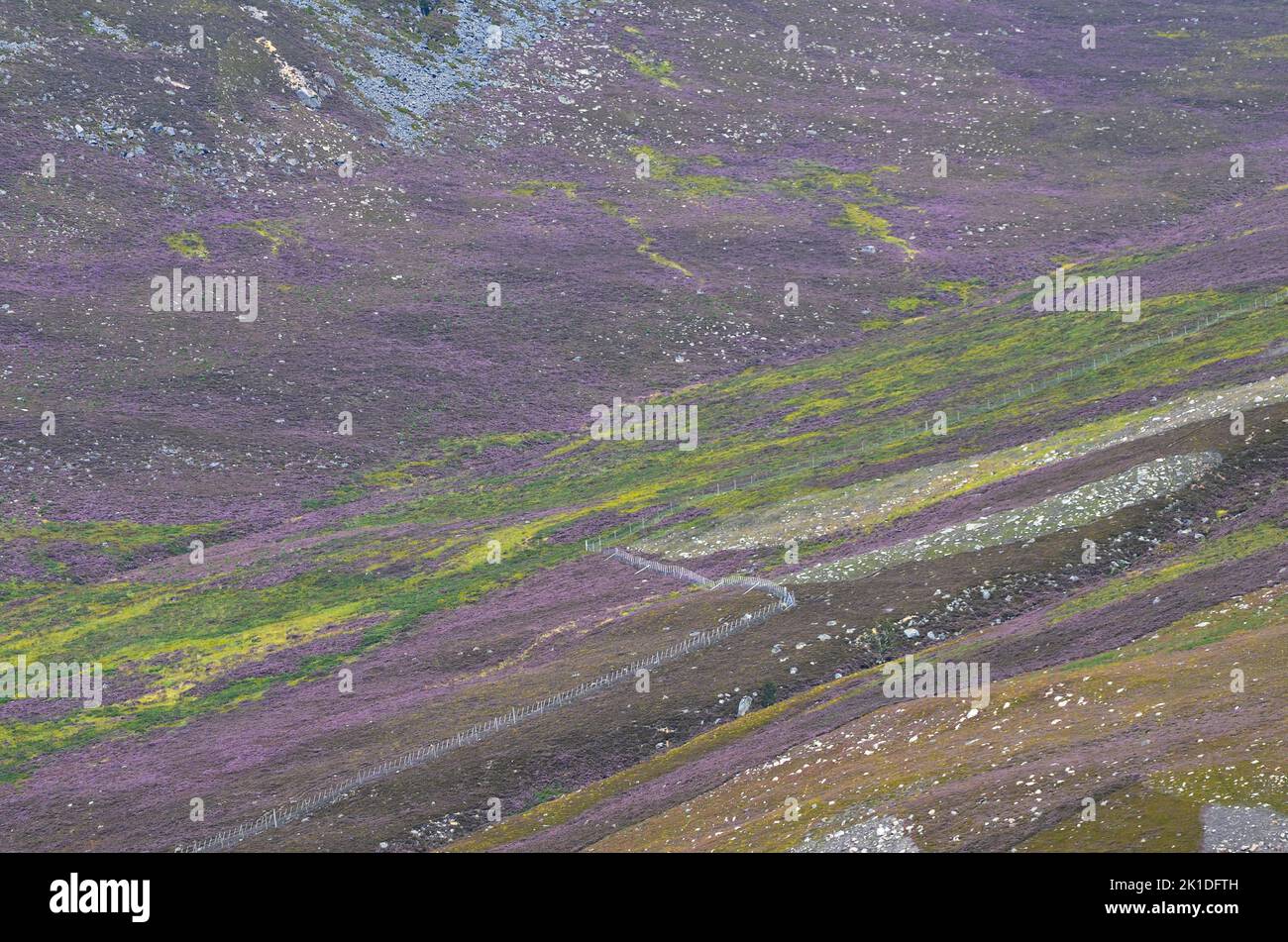 Glen Callater, a Site of Special Scientific Interest within The ...