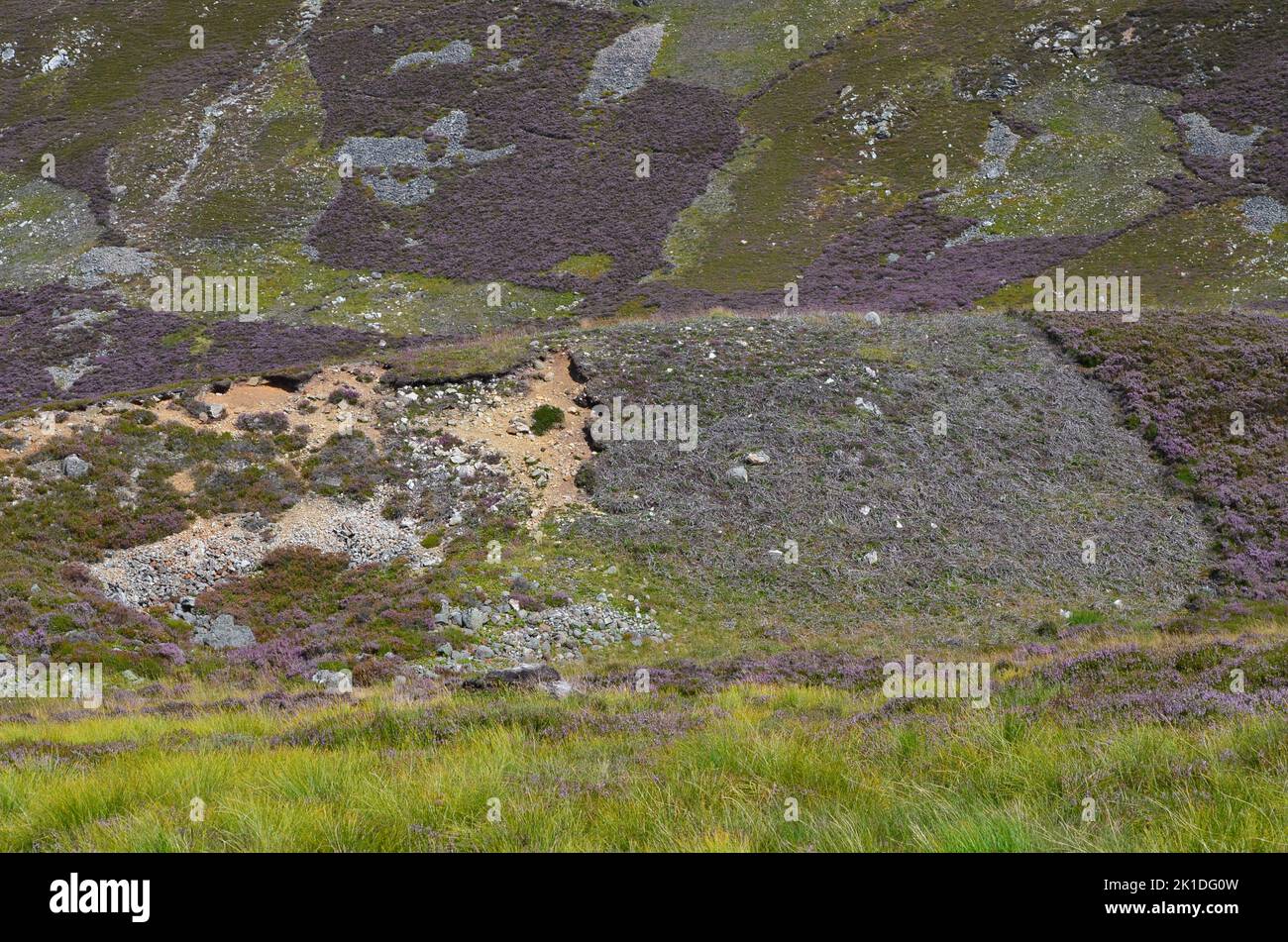 Glen Callater, a Site of Special Scientific Interest within The ...