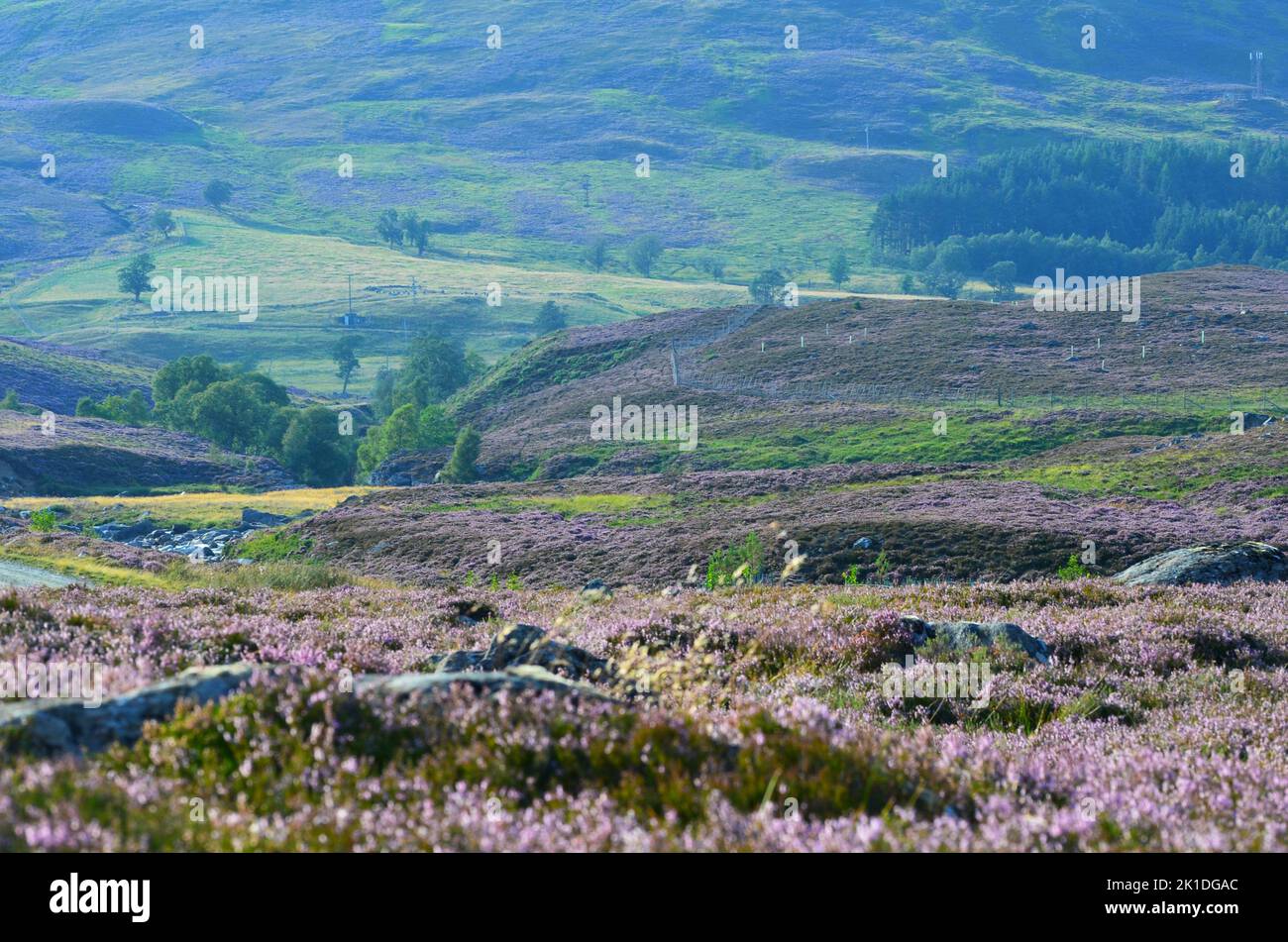 Glen Callater, a Site of Special Scientific Interest within The ...