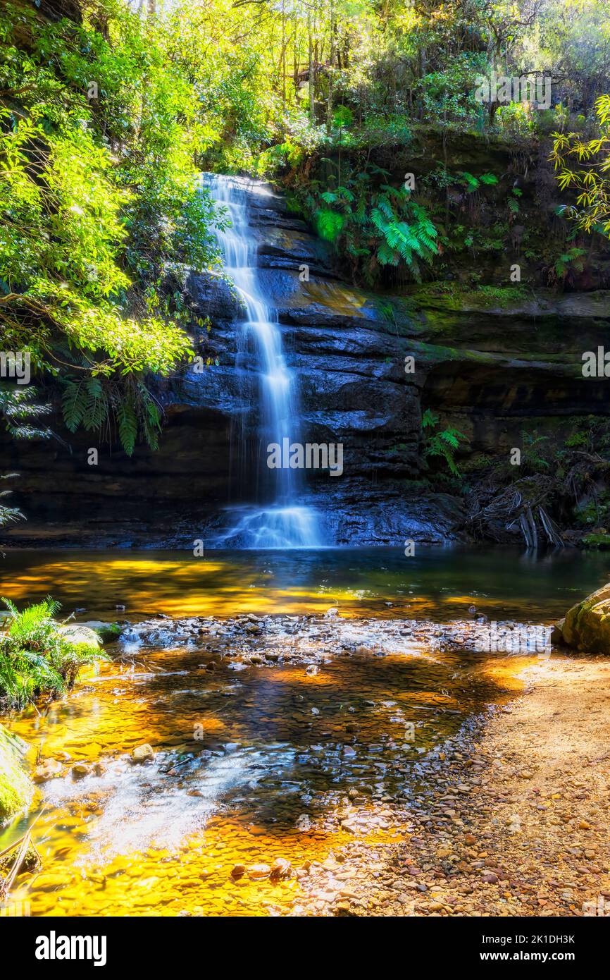 Gordon Falls in Blue Mountains national park falling to pool of Siloam ...