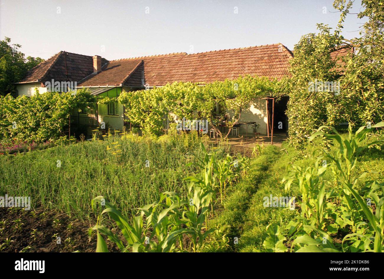 Constanta County, Romania, 2002. Simple house in the countryside, with ...
