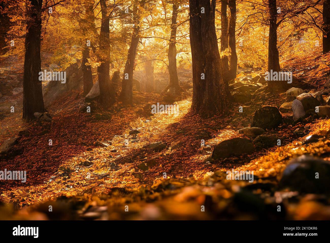 A beautiful view of a yellow-toned forest captured during daylight ...