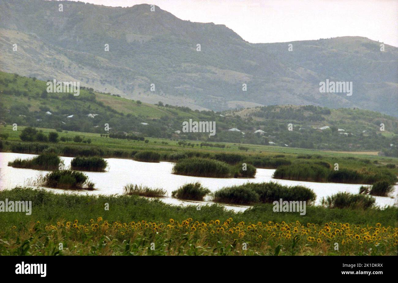 Romania, 2000. Summer landscape in Dobrogea region Stock Photo - Alamy